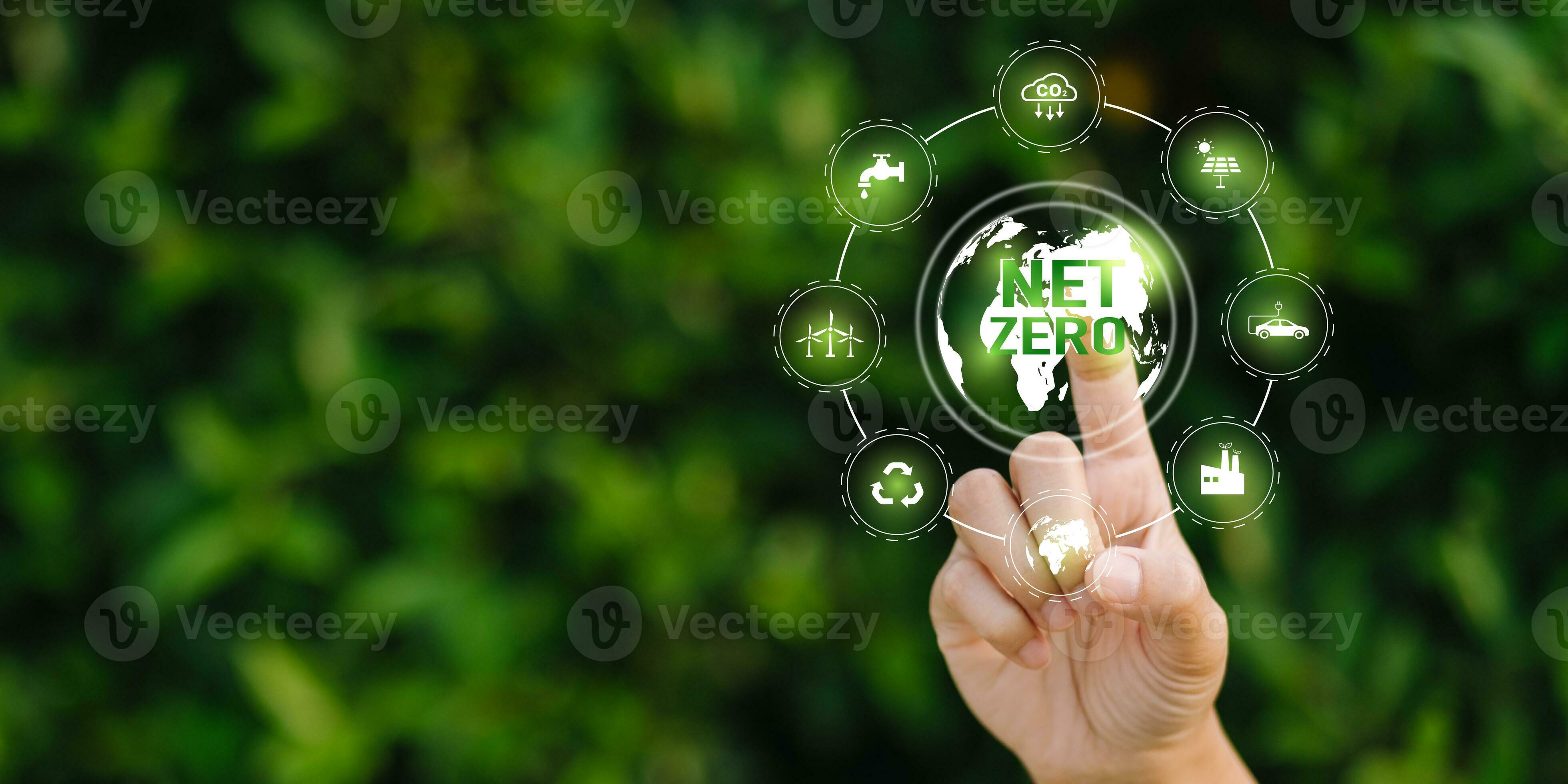 Net Zero and Carbon Neutral Concepts Net Zero Emissions Goals With a ...