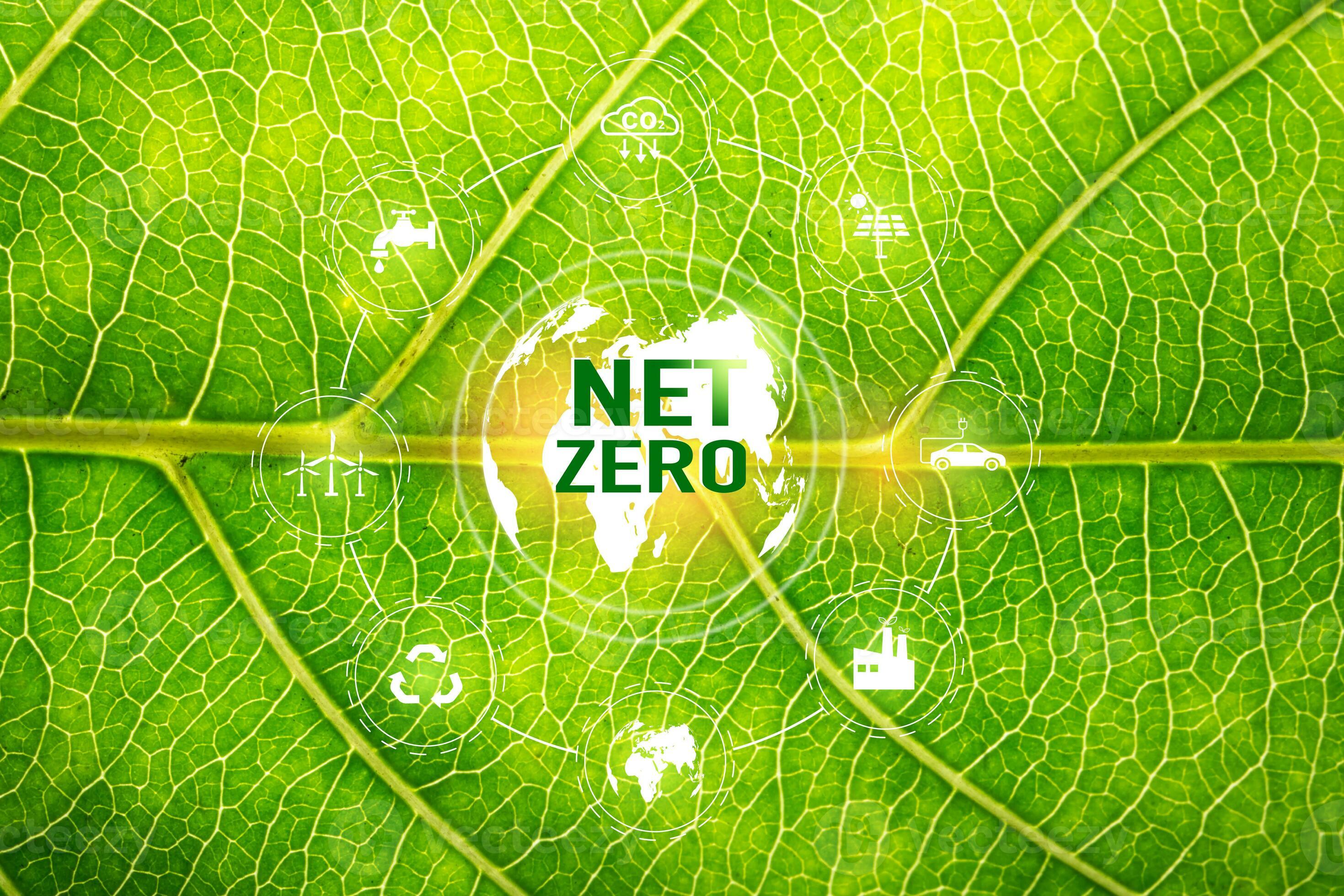 Net Zero and Carbon Neutral Concepts Net Zero Emissions Goals With a connected icon concept ...