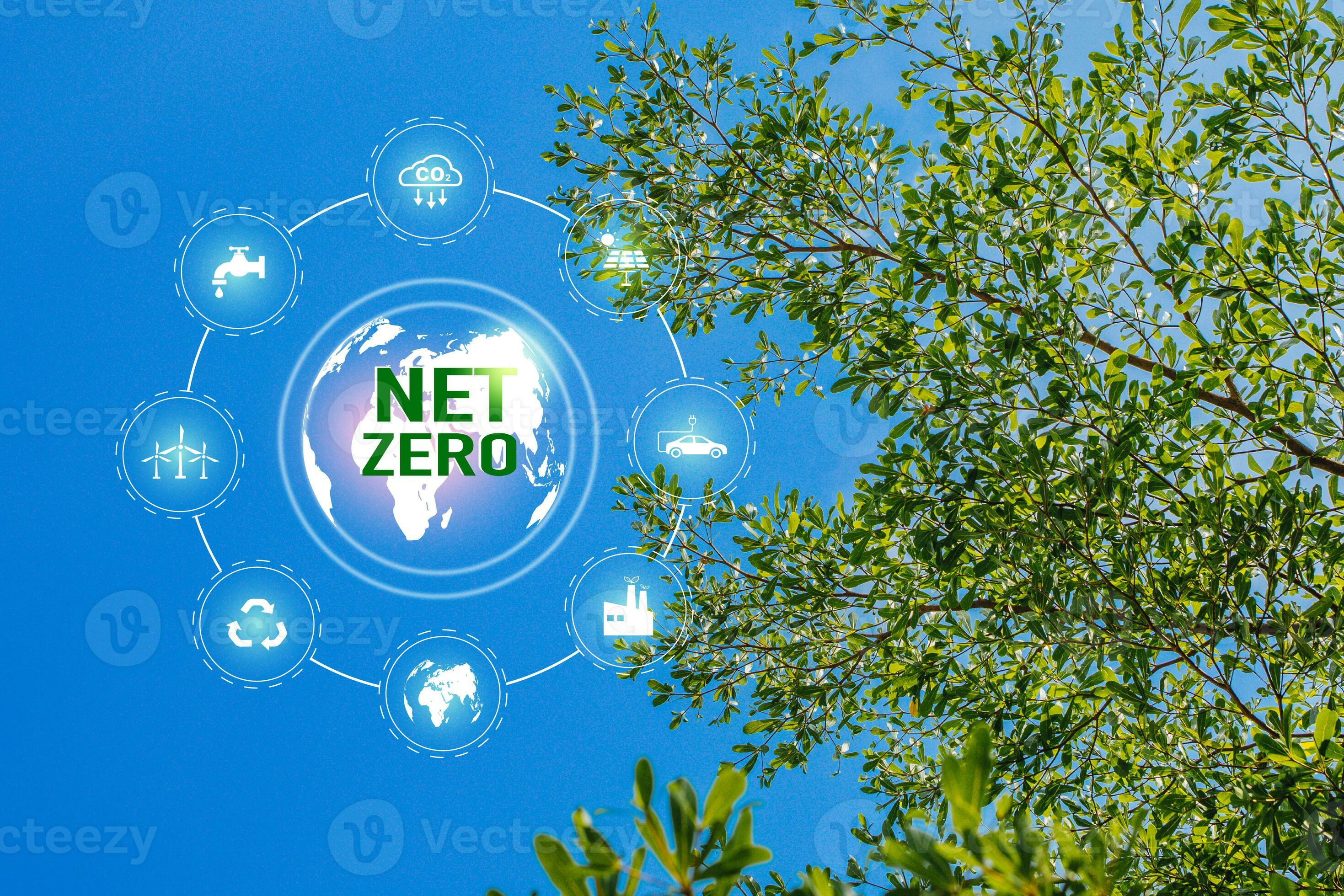 Net Zero and Carbon Neutral Concepts Net Zero Emissions Goals With a ...