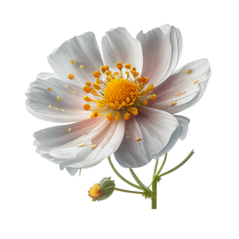 Blume png, Blume mit transparent Hintergrund ai generiert 24725130 PNG Blume png, Blume mit transparent Hintergrund ai generiert 24725130 PNG