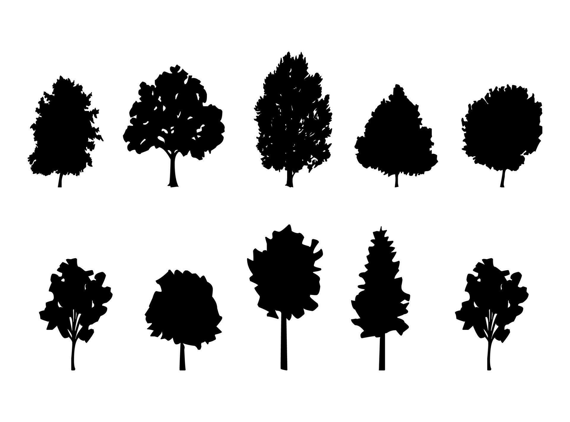 Set of tree silhouettes illustration. Vector realistic tree silhouettes ...