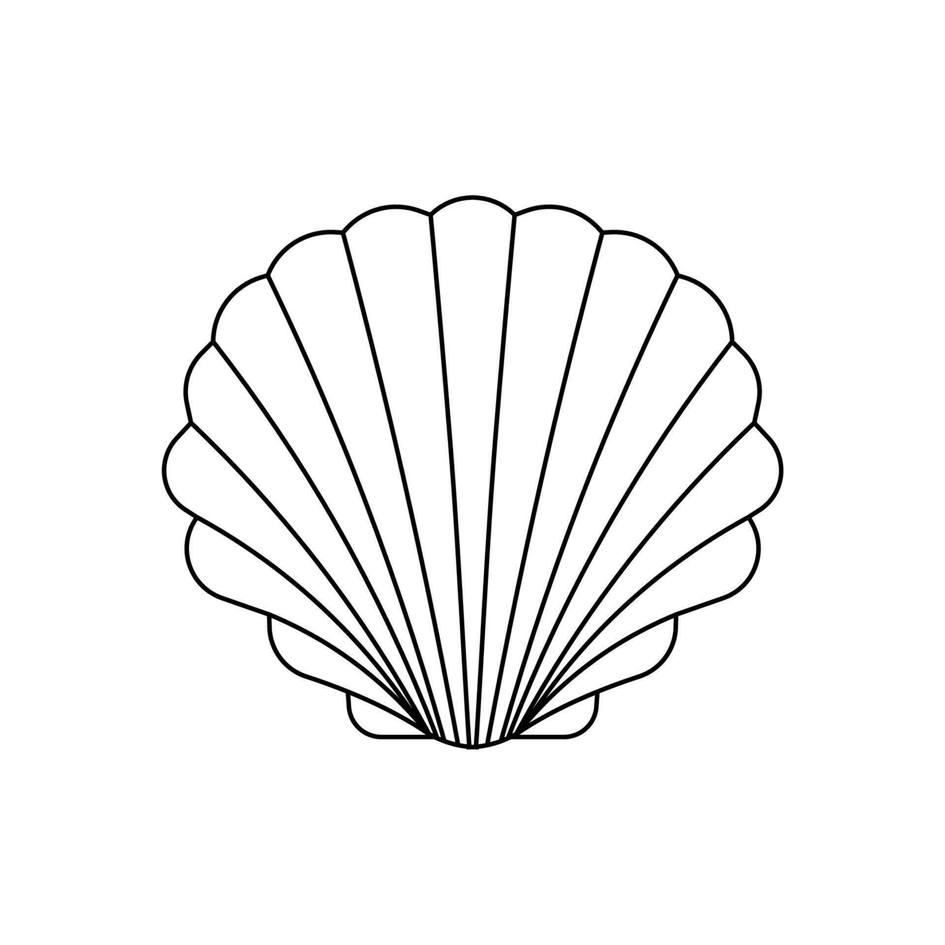 Scallop sea shell line art 24730487 Vector Art at Vecteezy