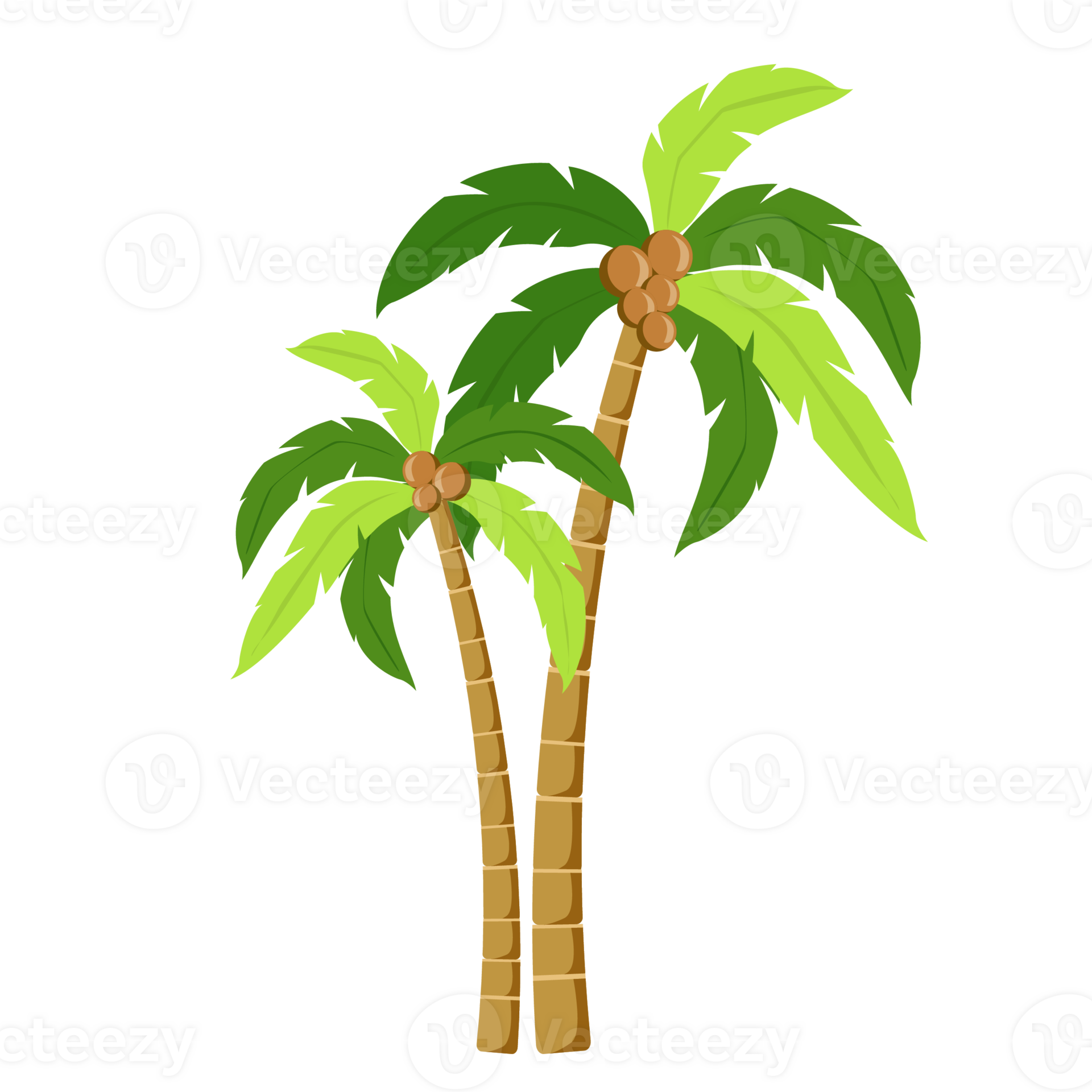 tropical california beach palm greens jungle hawaiian green trees 24733394 PNG