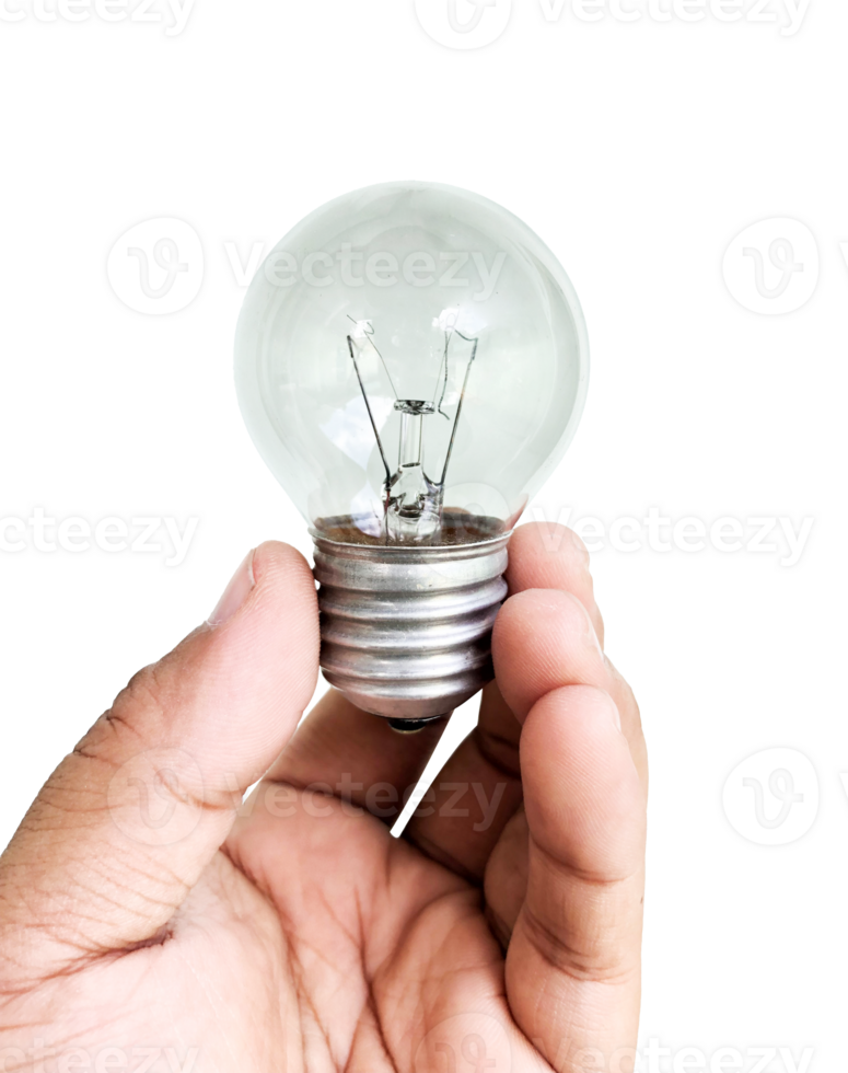 Hand holding light bulb isolated 24750205 PNG Hand holding light bulb isolated 24750205 PNG