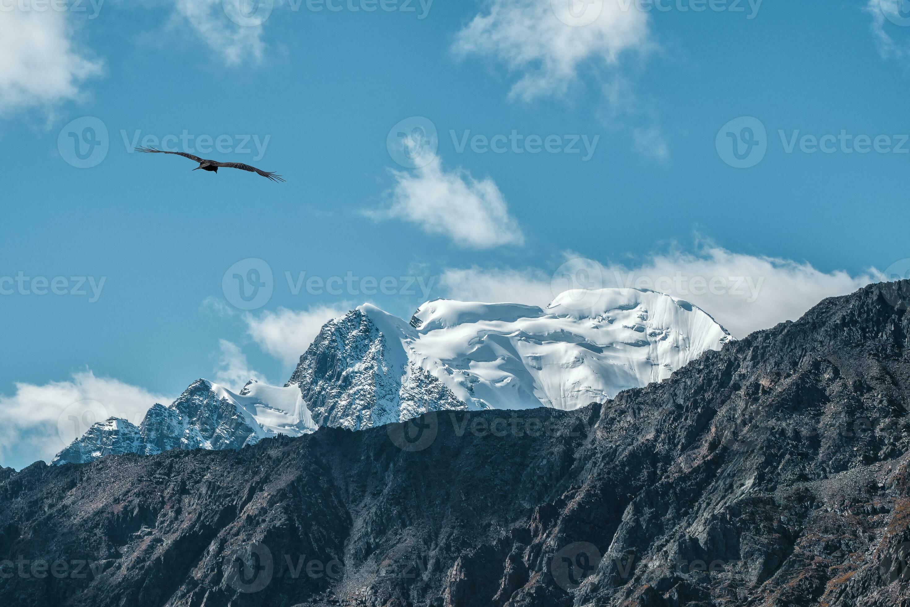 Beautiful alpine sunny landscape with high snowy mountain with peaked ...