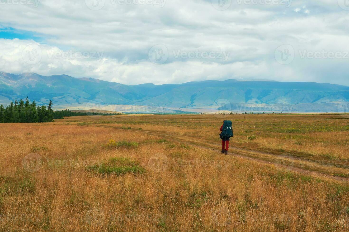 Solo hiking in the picturesque autumn mountain valley. Heavy climb in the mountains with a big ...