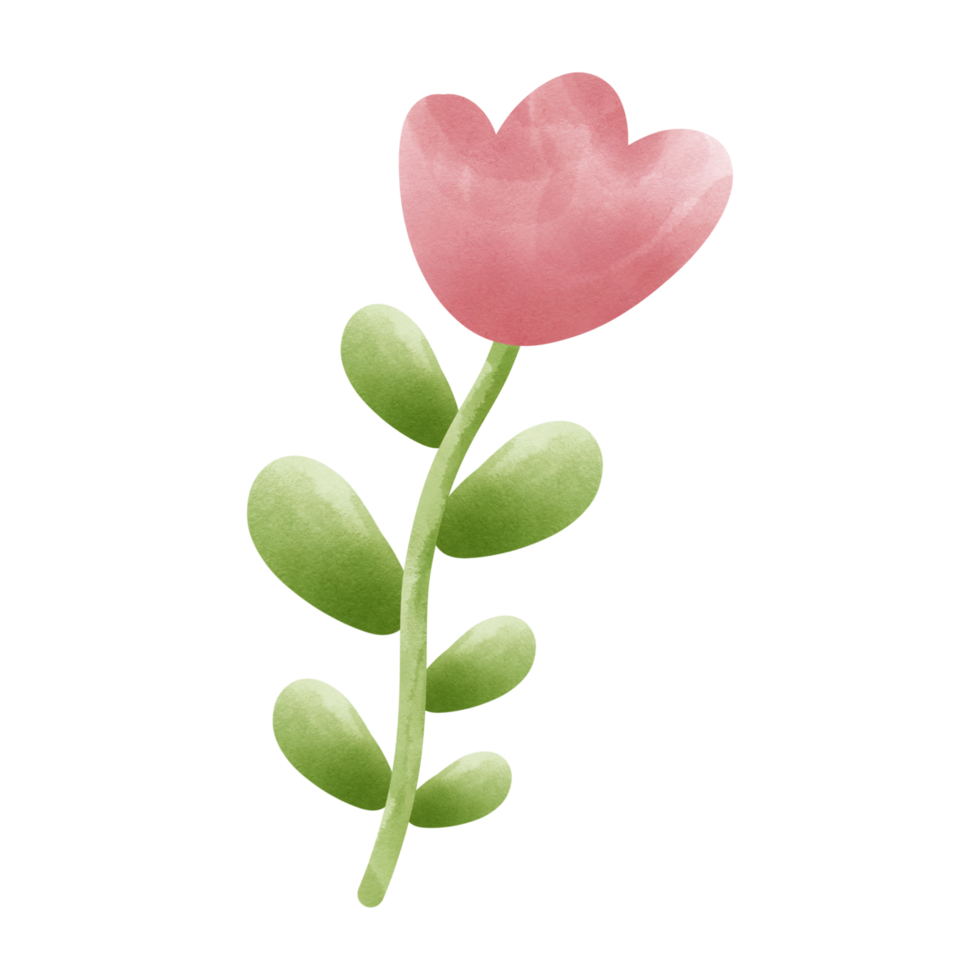 Animated Flowers Blooming