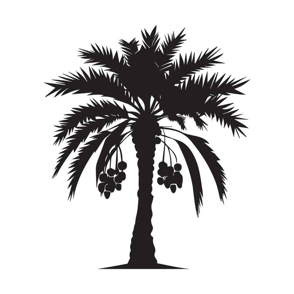 Date Palm Vector Illustration 24765973 Vector Art at Vecteezy Date Palm Vector Illustration 24765973 Vector Art at Vecteezy