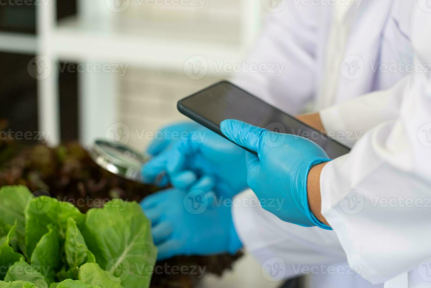 Scientist Team Doing Experiment In Agriculture Lab To Develope Genetic