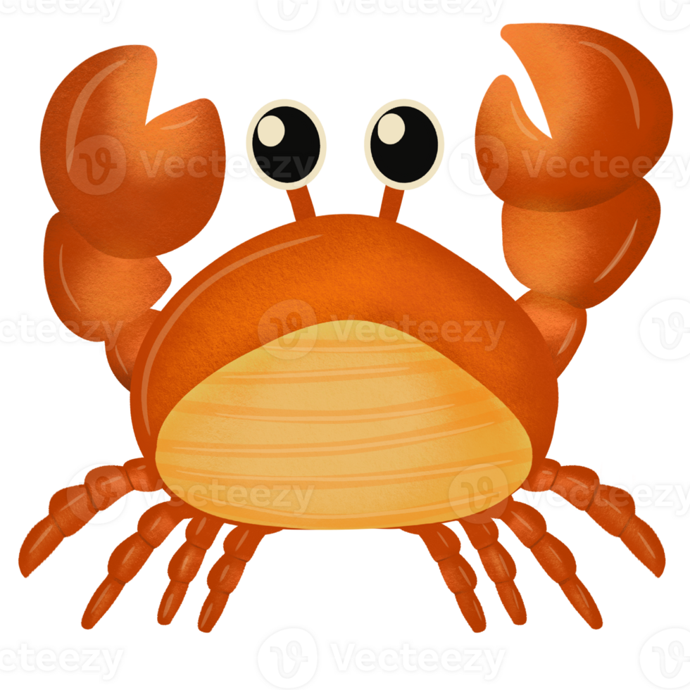 Cute Crab Cartoon 24776264 Png