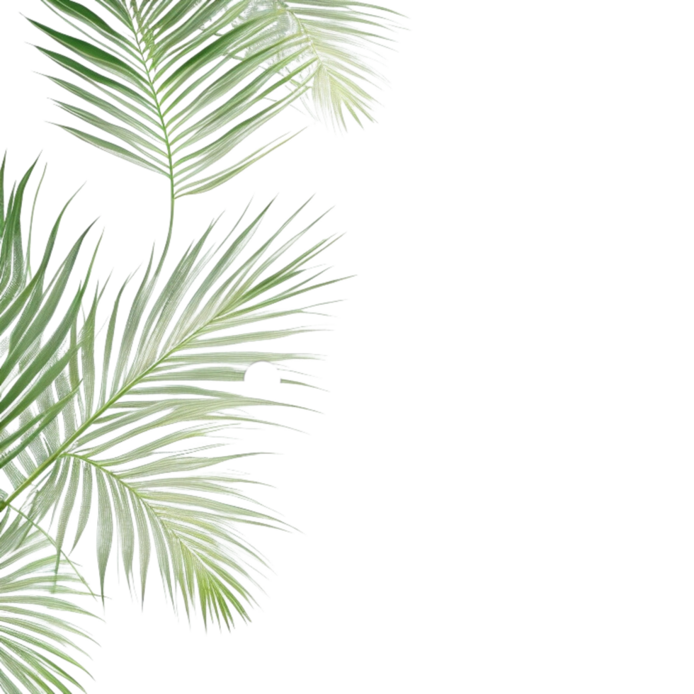 palm leaves background, palm leaves border, green leaves background ... palm leaves background, palm leaves border, green leaves background ...