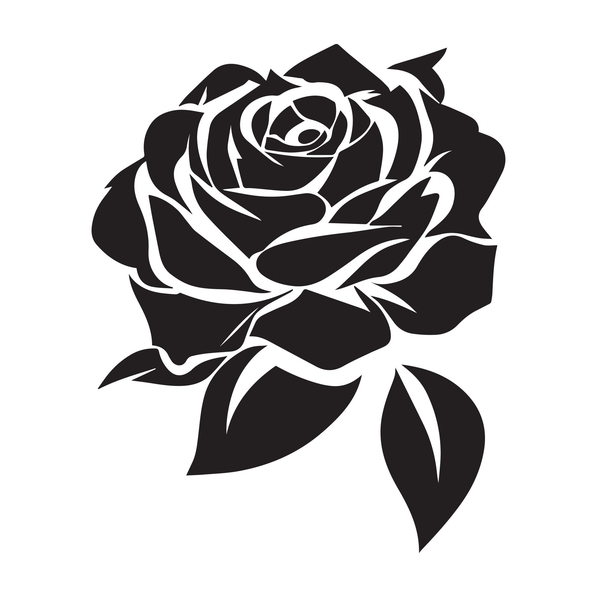 Rose Vector Silhouette Black Color, Rose Vector Illustration 24790373 ... Rose Vector Silhouette Black Color, Rose Vector Illustration 24790373 ...
