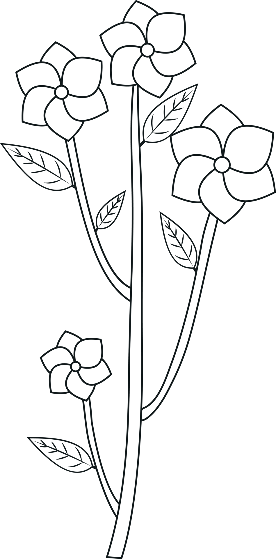 Flower Outline Pattern Doodle Line Art Vintage Flowers Black And