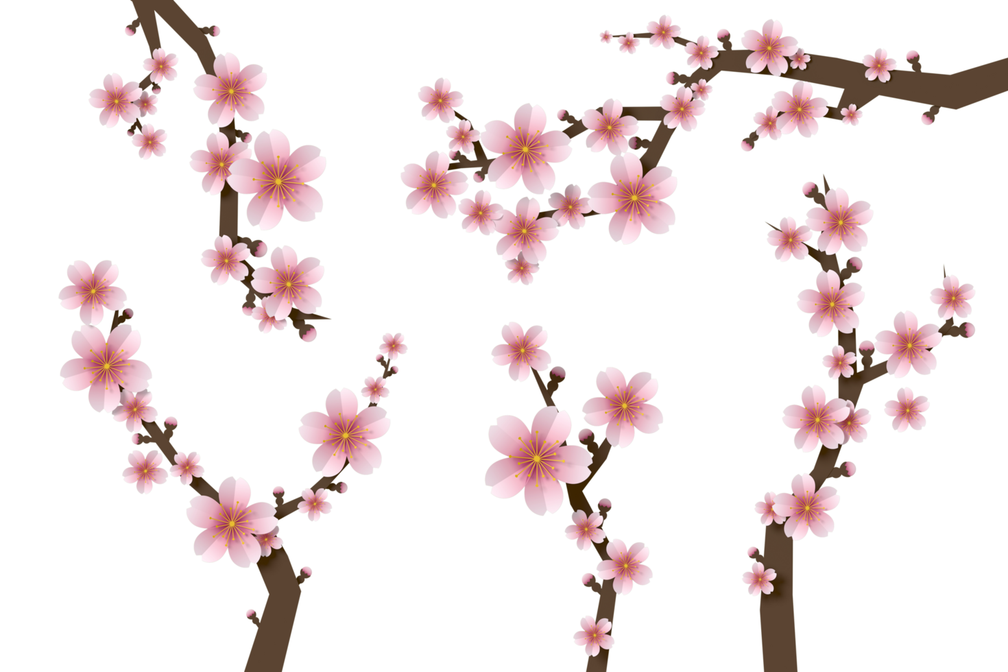 Sakura Flower Paper Style 3d Rendering 24830260 Png