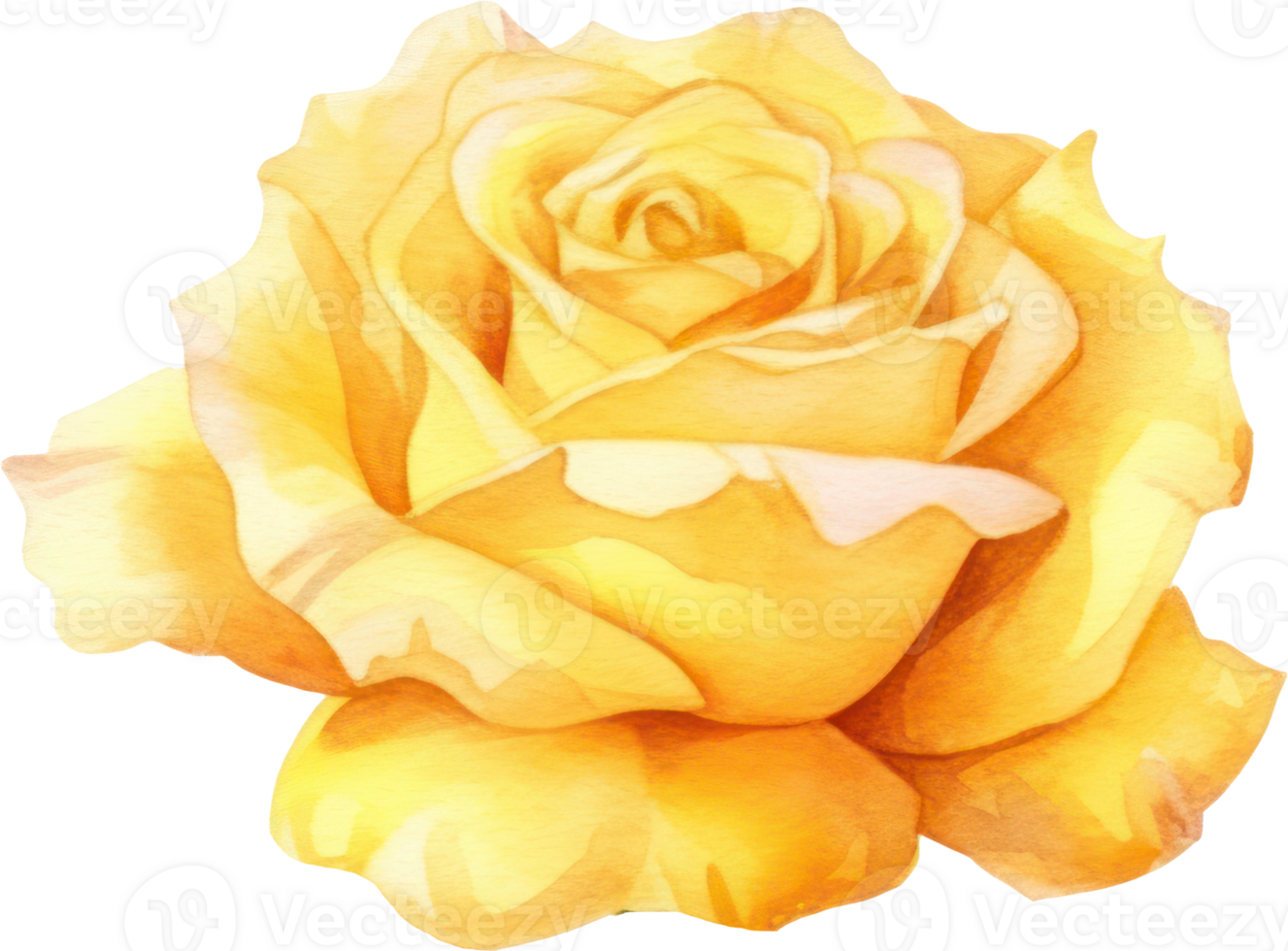 Yellow Rose Flower Watercolor Ai Generated 24831647 Png