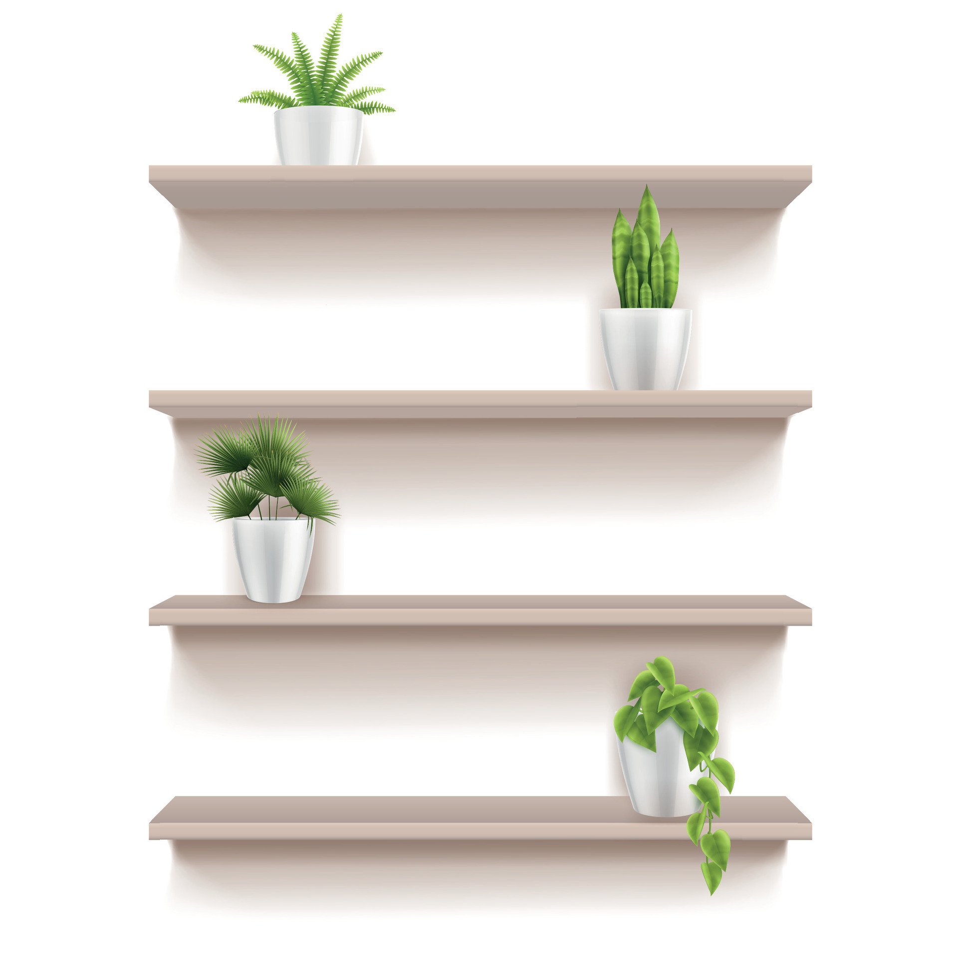 Shelves Realistic Set 24853624 Vector Art at Vecteezy