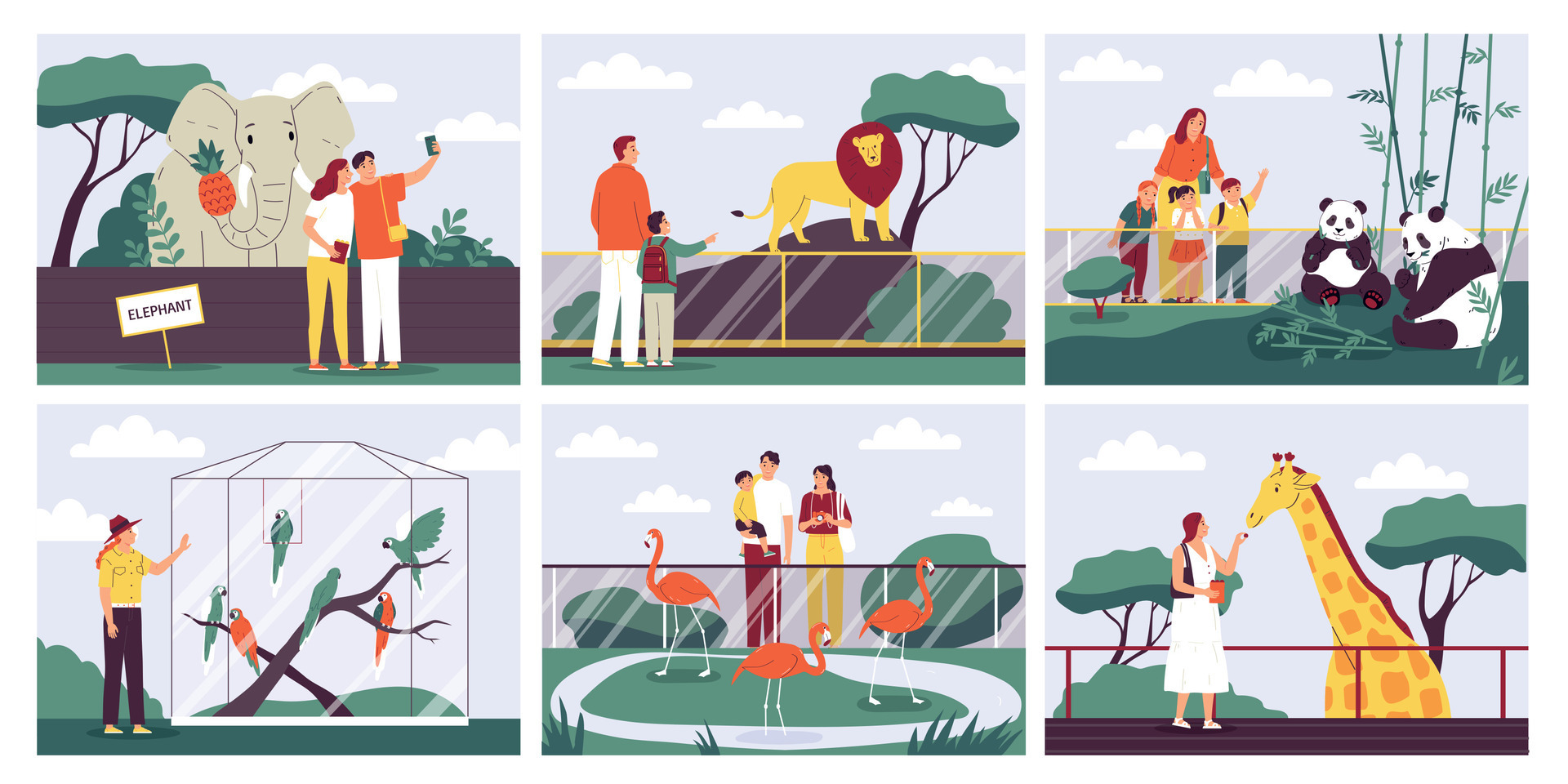 Zoo Flat Set 24854493 Vector Art at Vecteezy