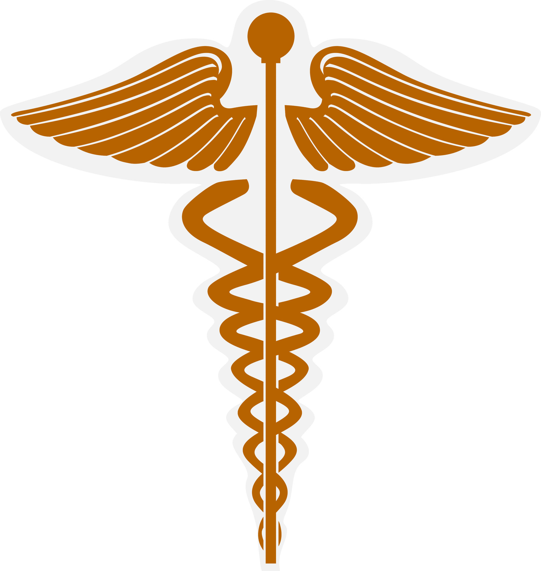 Caduceus medical symbol made with brown color. 24864240 Vector Art at ... Caduceus medical symbol made with brown color. 24864240 Vector Art at ...