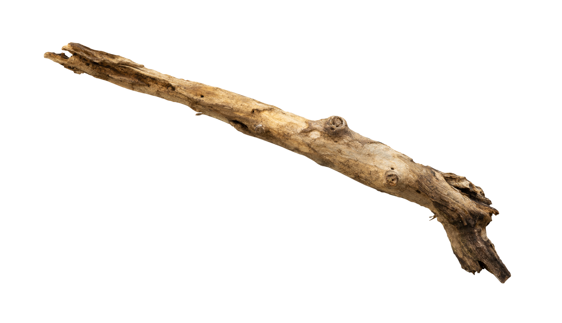 Old dead wood isolated element 24867374 PNG