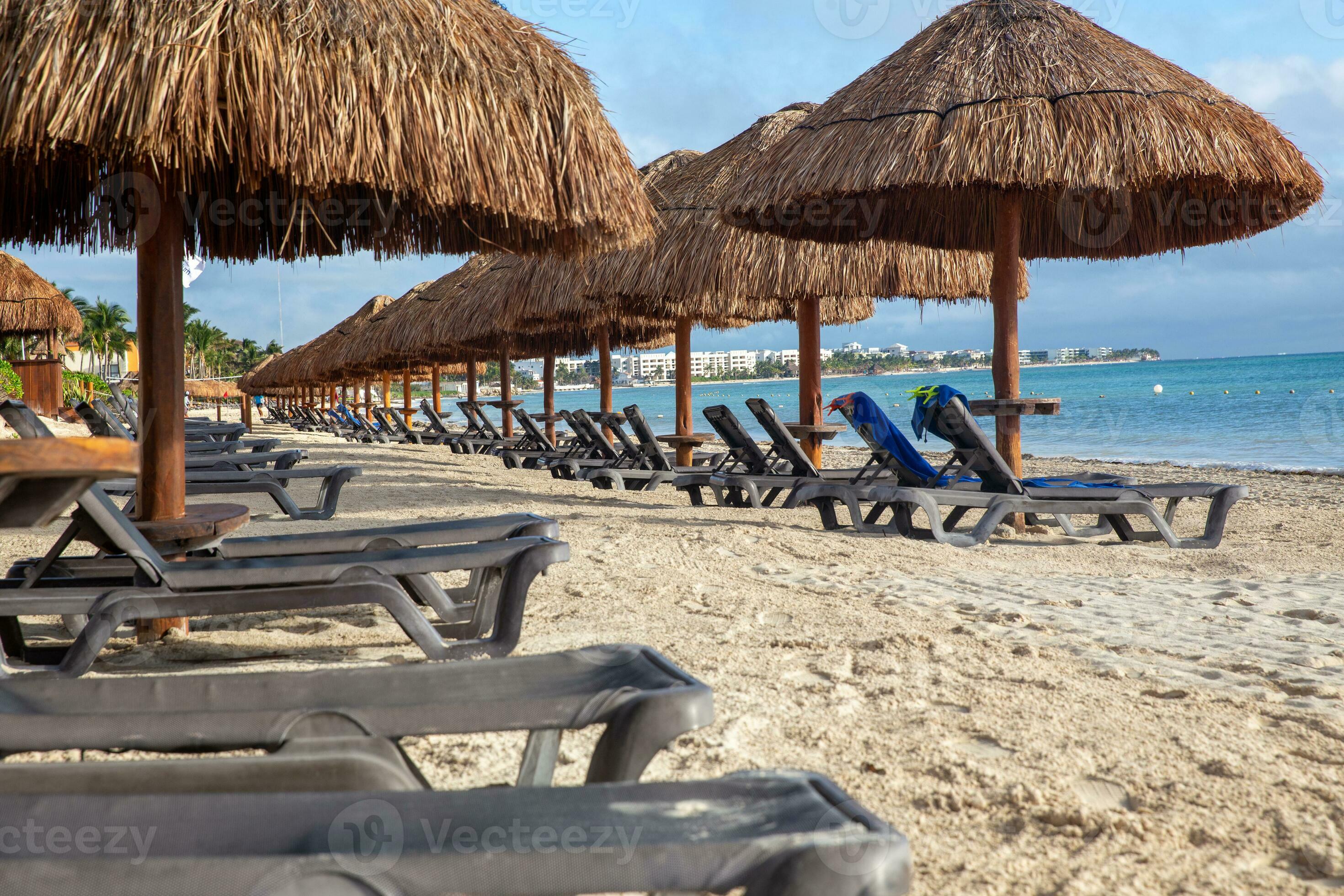 Rows of Palapas 24871194 Stock Photo at Vecteezy