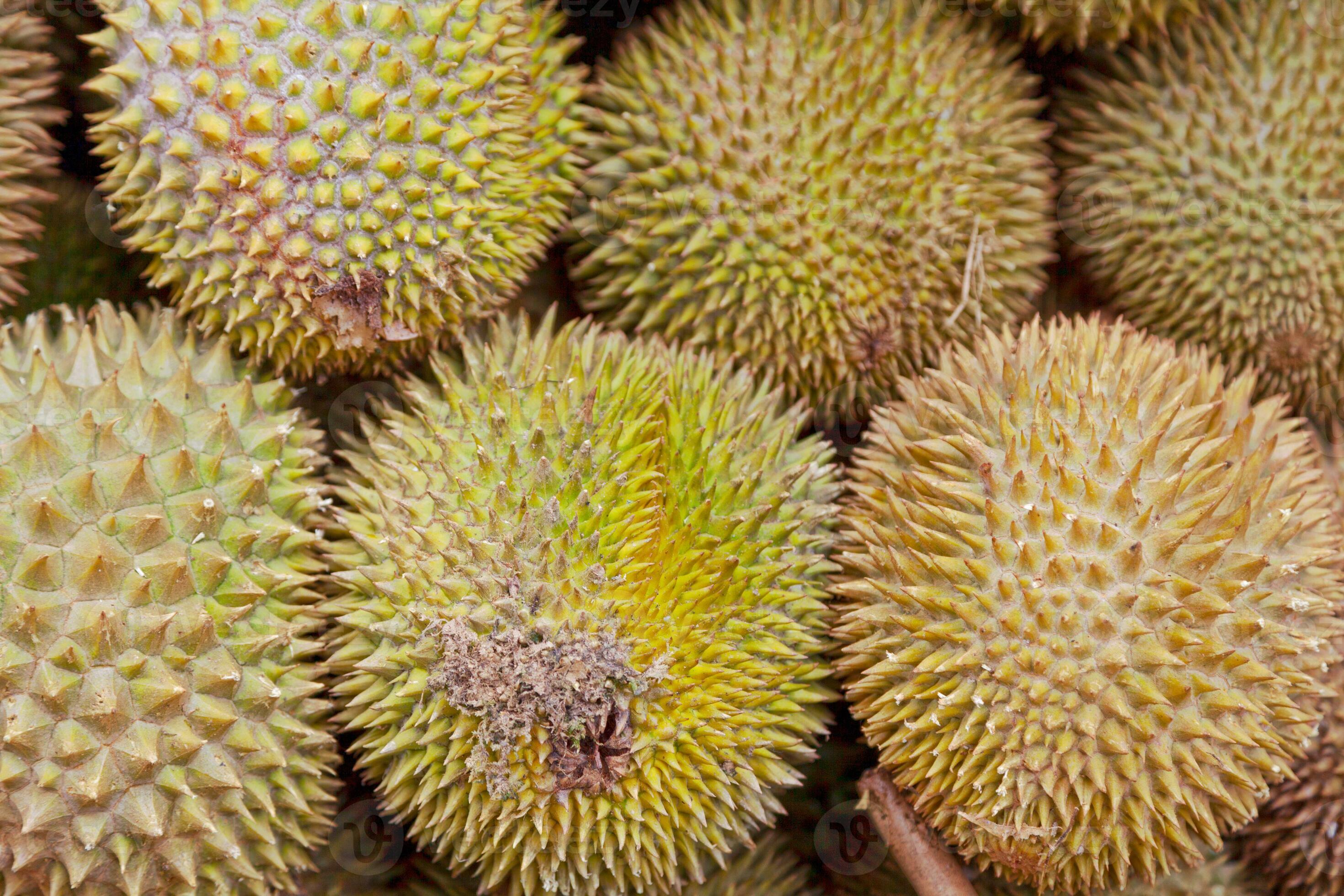 Stack of durians on a market stall 24939641 Stock Photo at Vecteezy