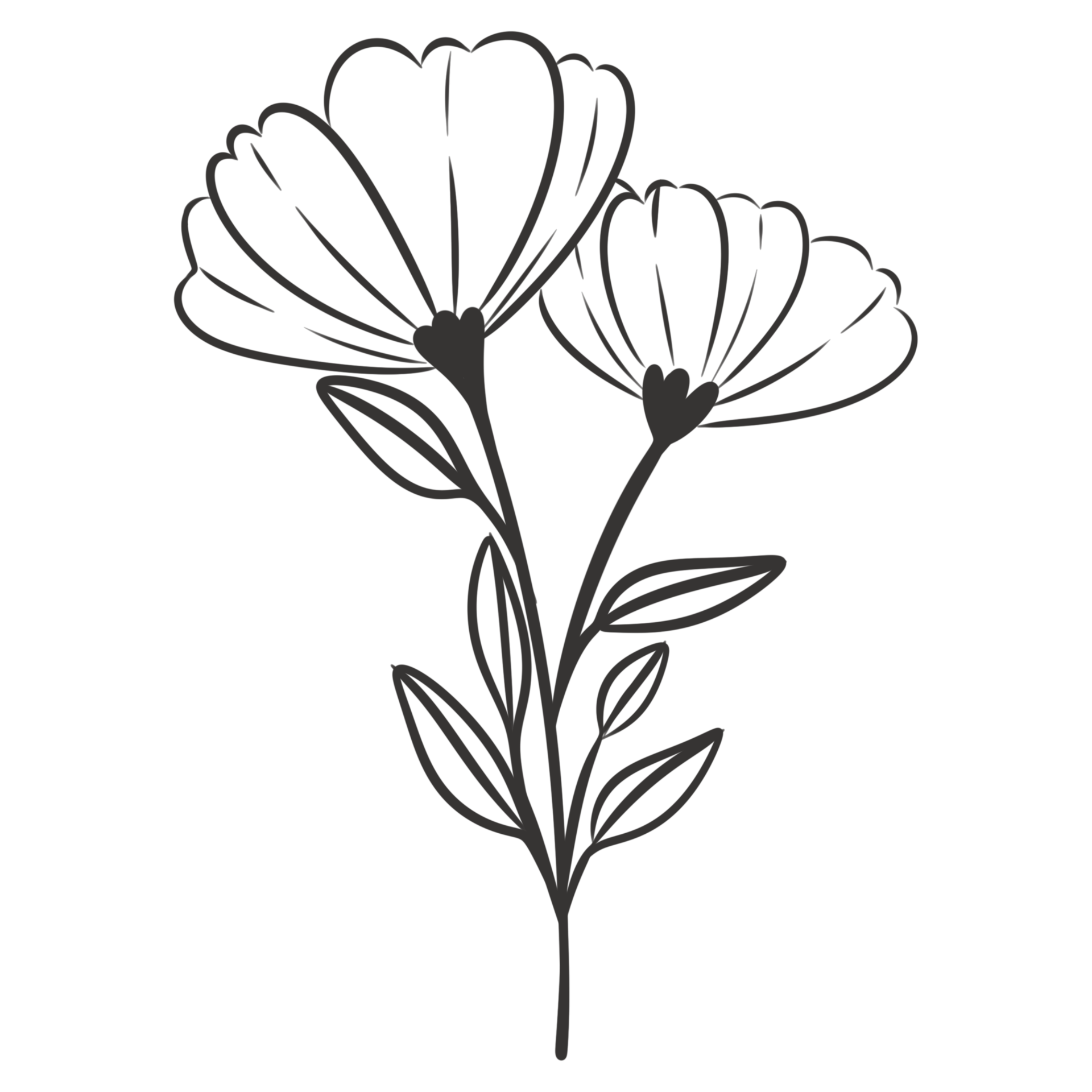 Flower line silhouette for decorations. 24959851 PNG
