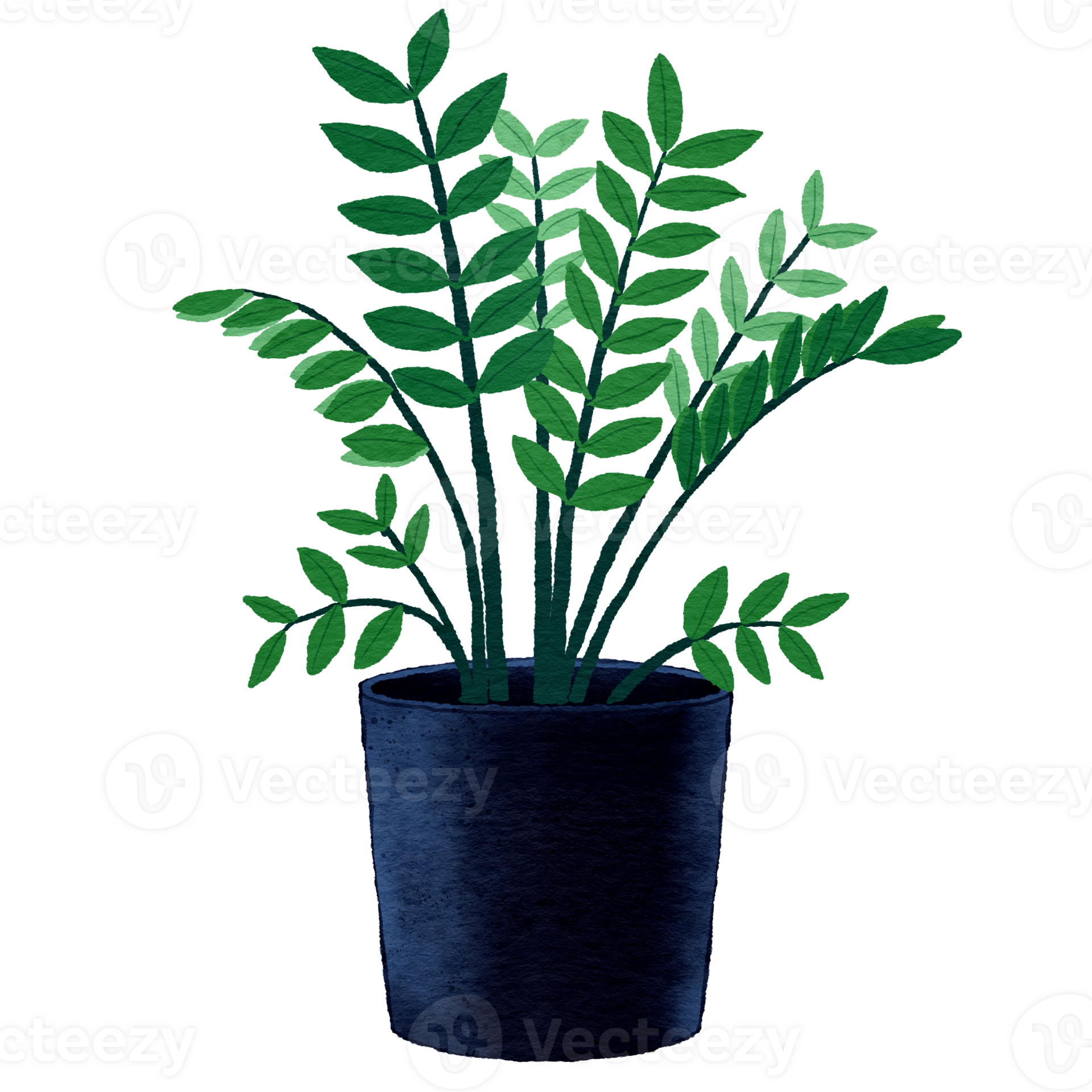 Home potted plants. Houseplants in plant pots, flower potted plant ... Home potted plants. Houseplants in plant pots, flower potted plant ...