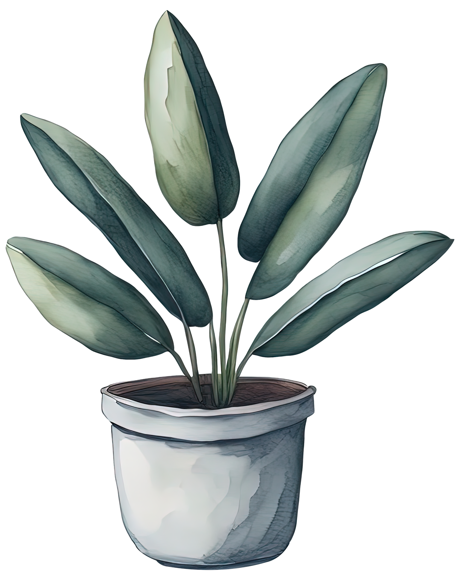 Watercolor House plant. 24970344 PNG