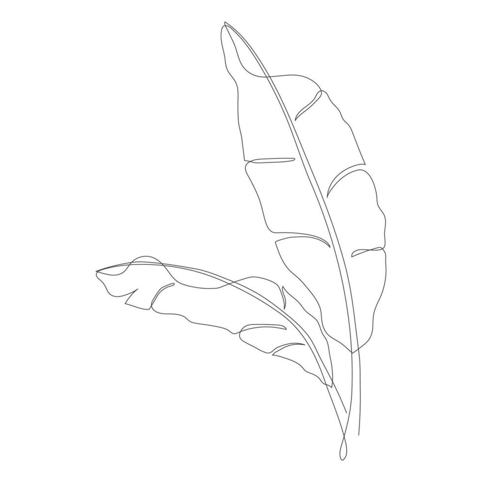 One Continuous Line Drawing Of Banana Leaf Icon Banana Leaves Line Art
