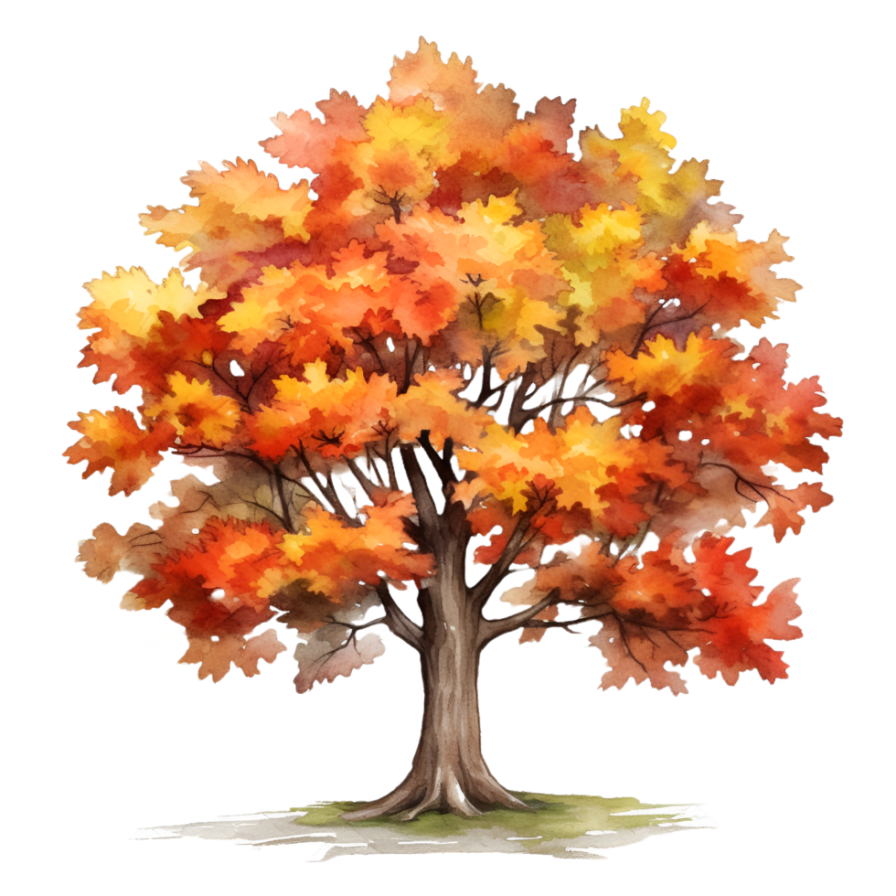 Fall Autumn Tree Watercolor Clipart AI Generated 25005217 PNG