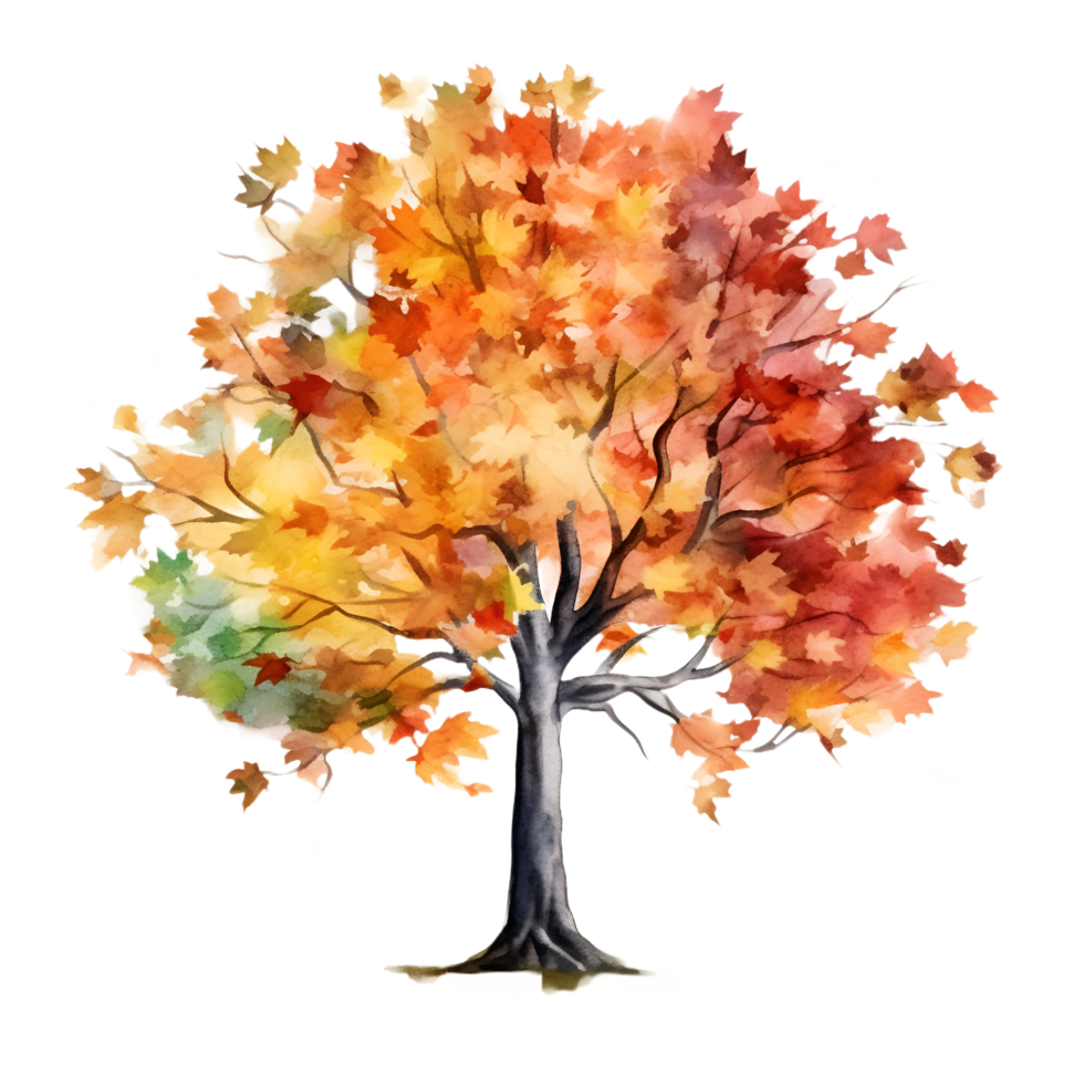 Watercolor Tree Fall