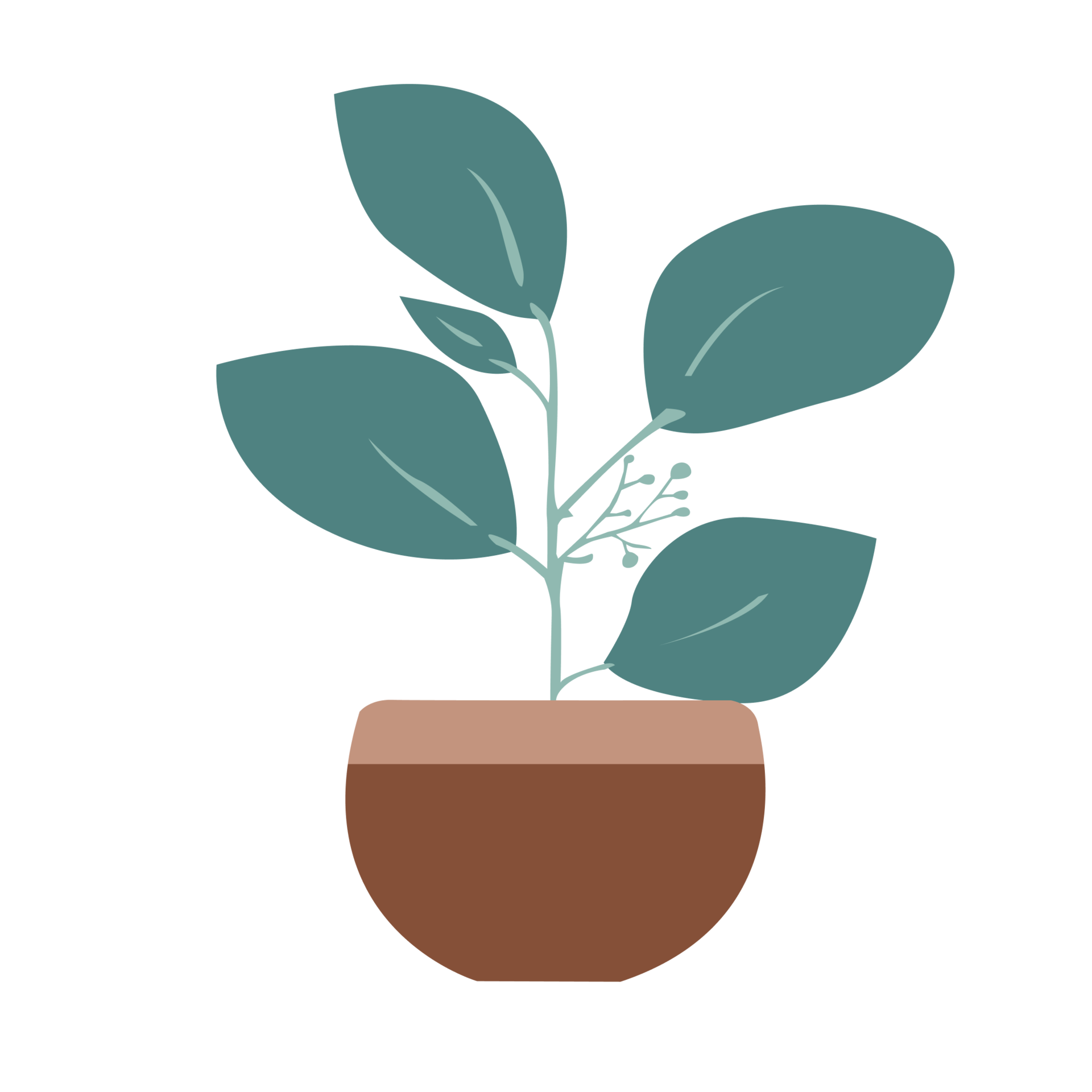 Prayer Plant Illustration 25019843 Png