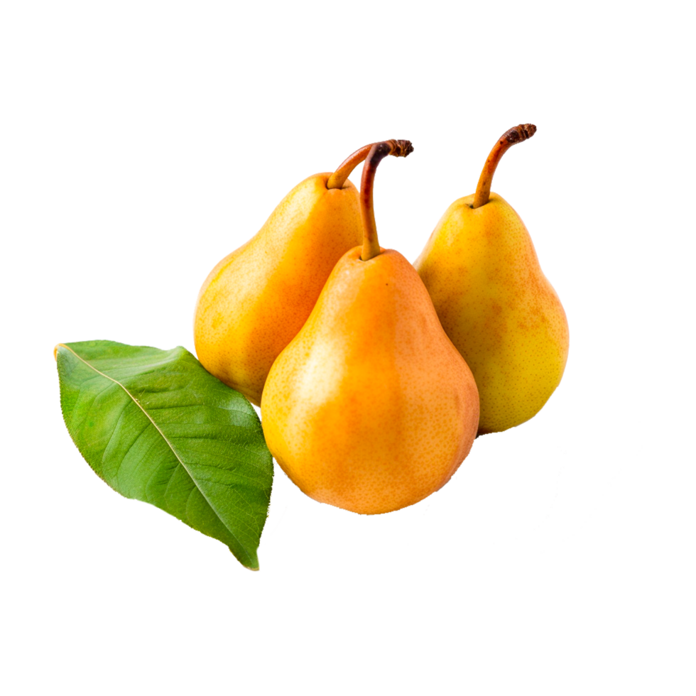 Pear Fruit Amygdaloidal TIFF, Pear 25028067 PNG Pear Fruit Amygdaloidal TIFF, Pear 25028067 PNG