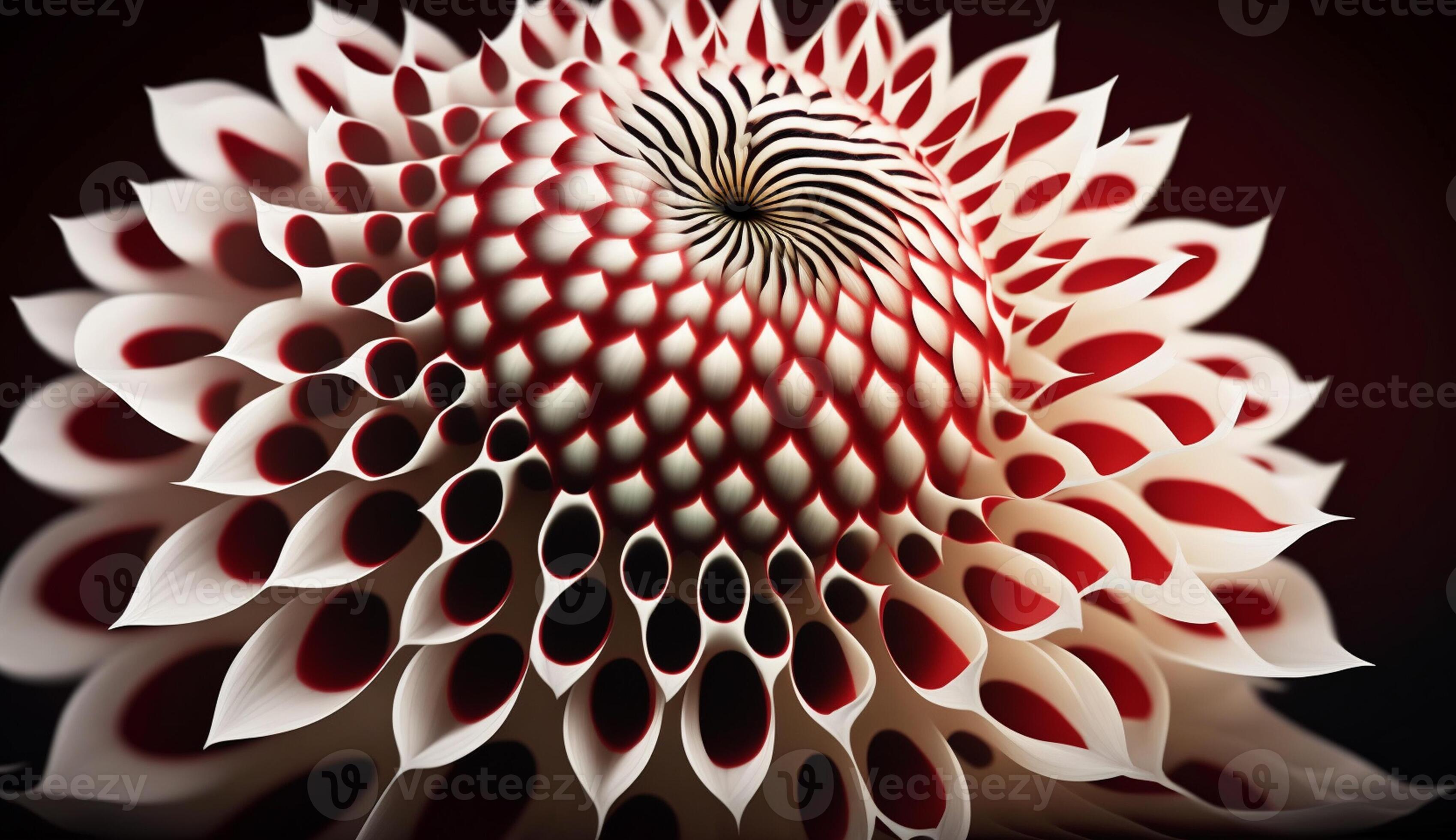 Symmetrical Shapes In Nature