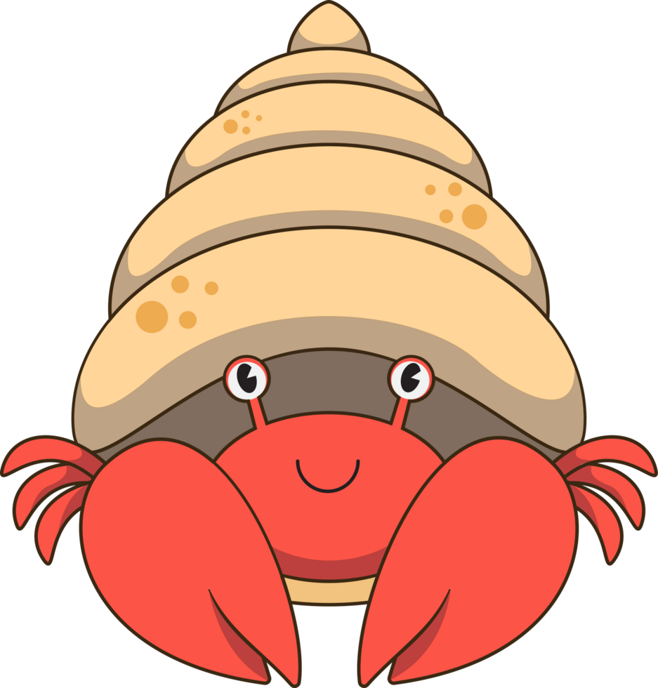 Hermit Crab Cute Cartoon Style 25068150 Png