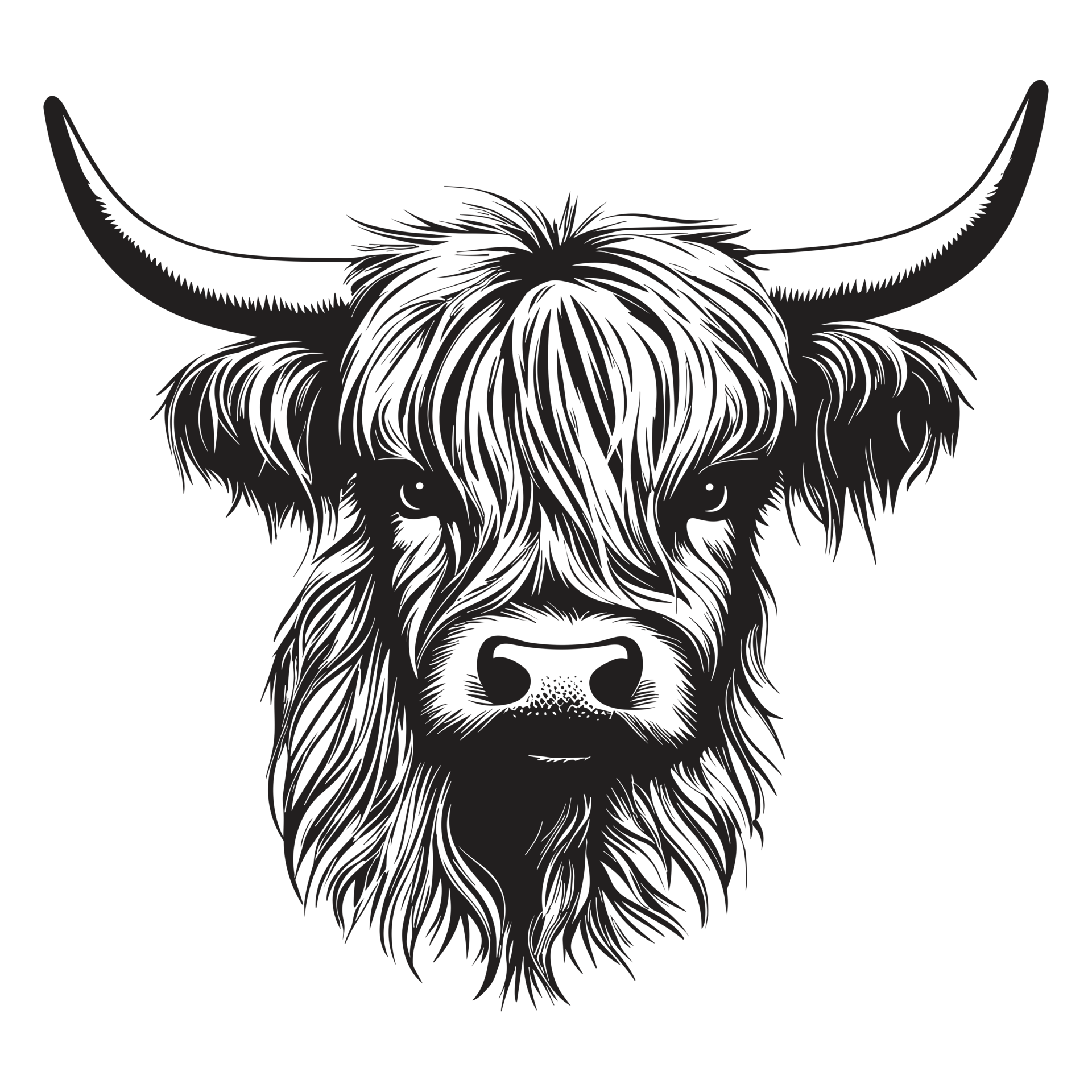 Beautiful Highland Cow Silhouette 25070135 Png