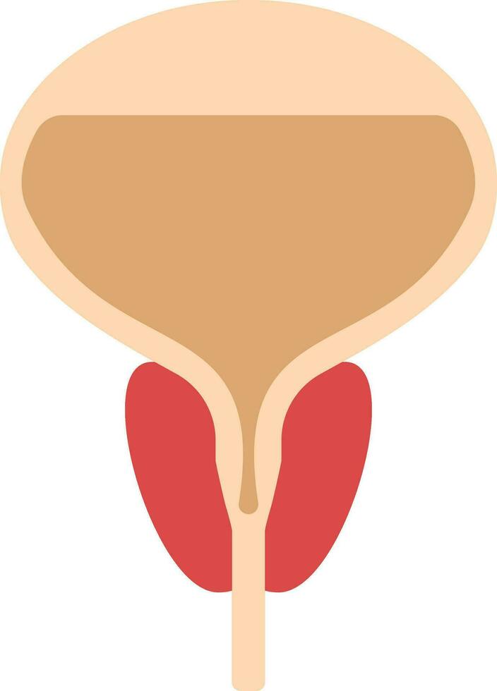 Flat Style Prostate Gland Icon In Peach And Red Color 25094575 Vector Art At Vecteezy