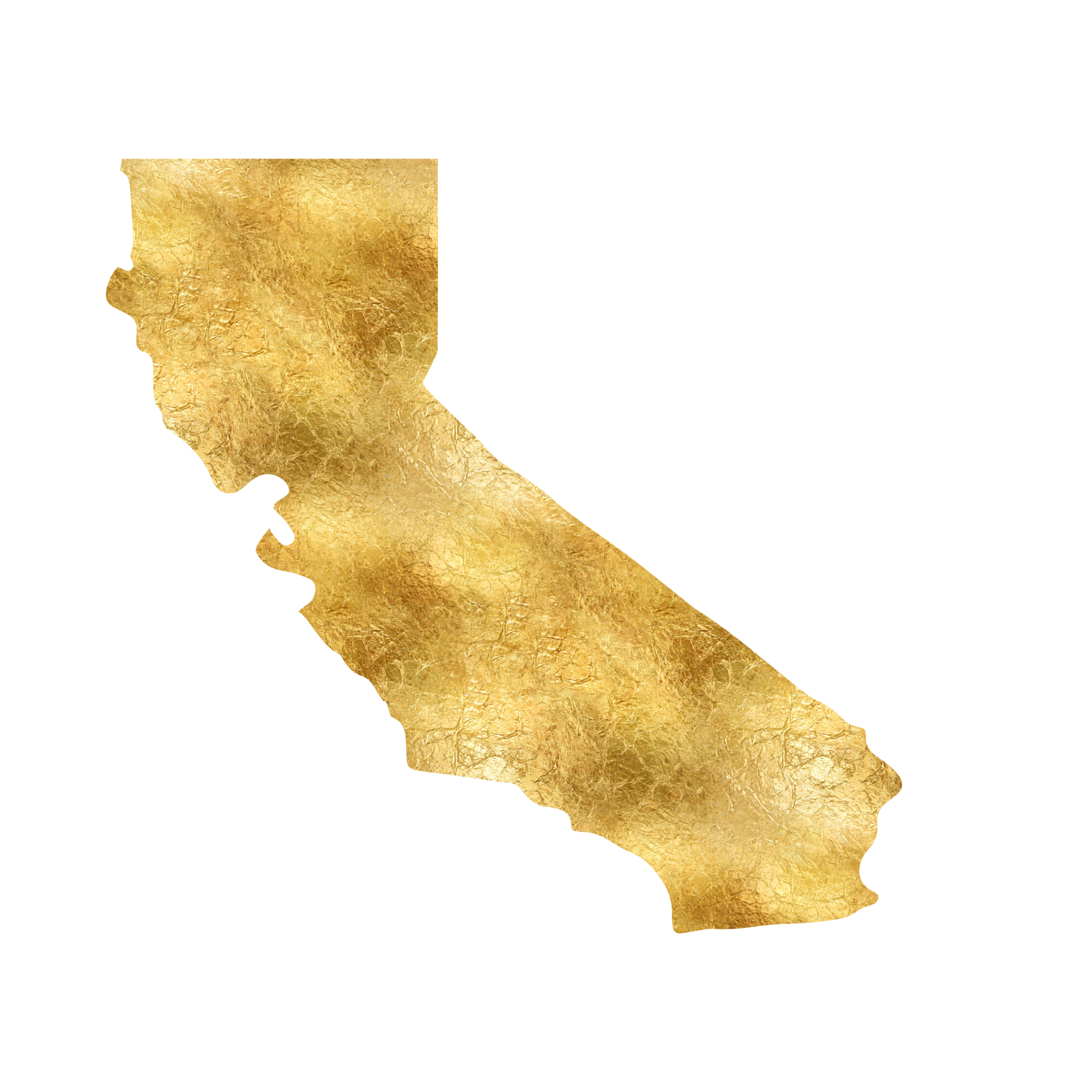 Gold Foil 50 US States PNG 25104518 PNG gold-foil-50-us-states-png-25104518-png