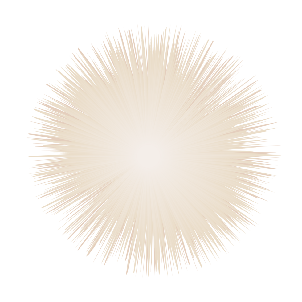 fur ball png 25139947 PNG