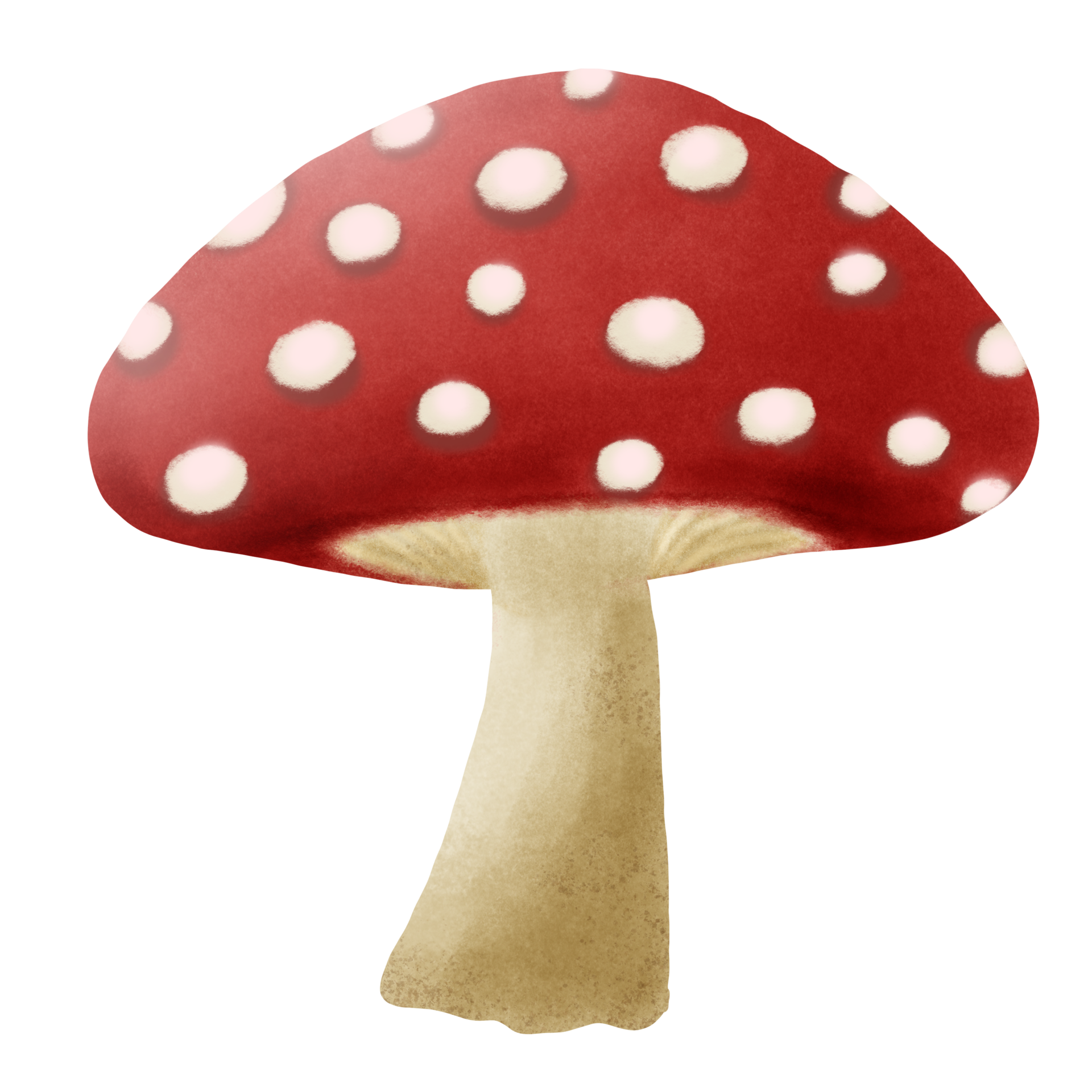 Fly Agaric Mushroom Hand Drawn Illustration 25142892 Png