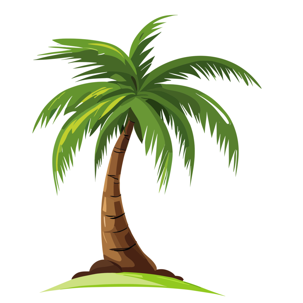 Coconut tree transparent background 25164910 PNG