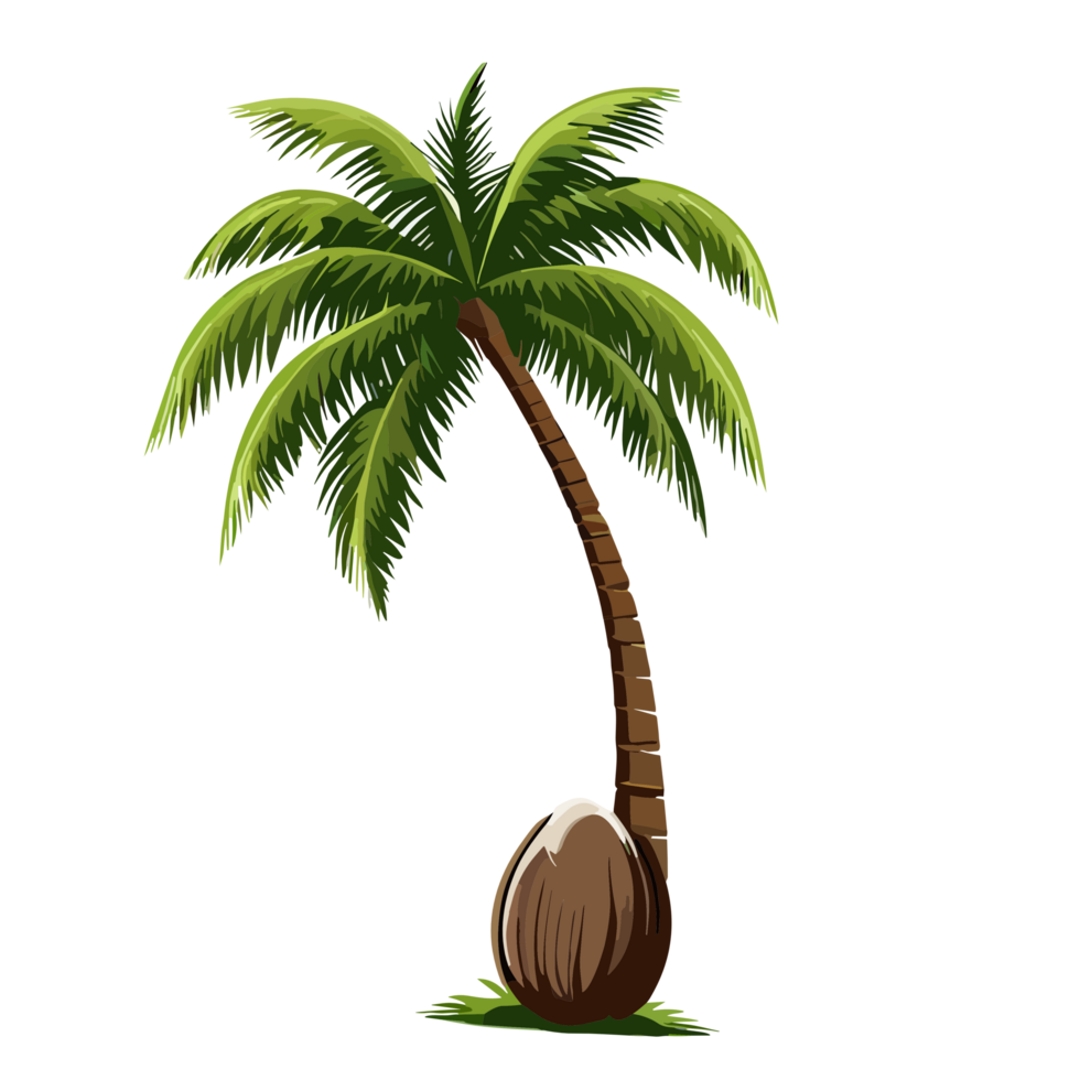 Coconut tree transparent background 25164912 PNG