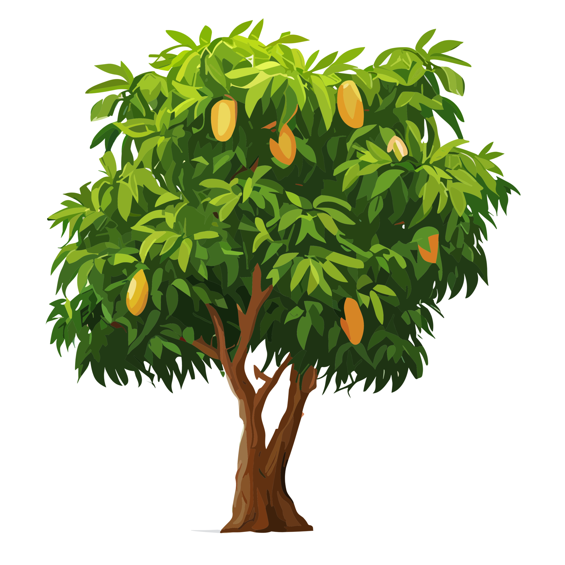 Mango tree transparent background,Ai generative 25164914 PNG
