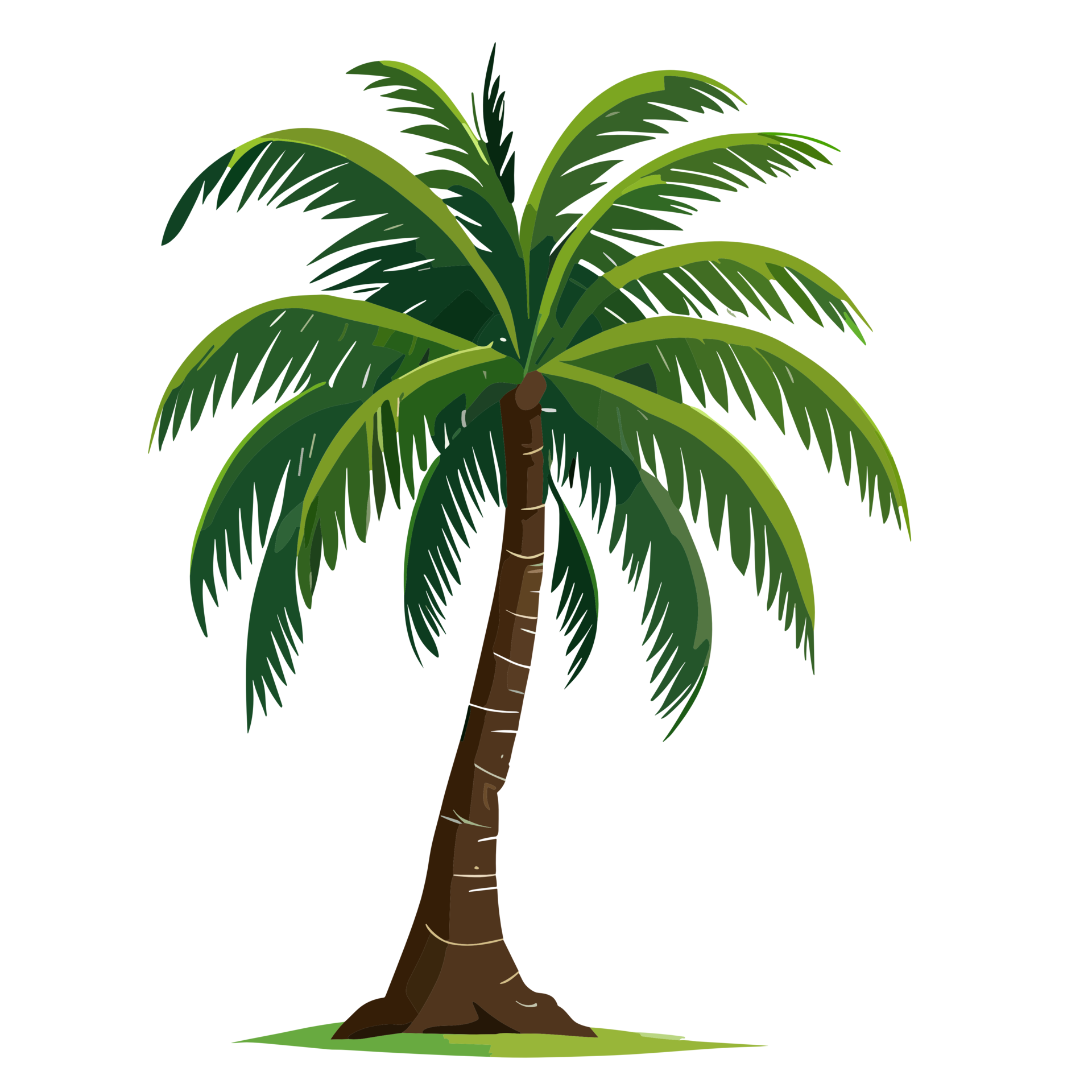 Coconut tree transparent background 25165901 PNG Coconut tree transparent background 25165901 PNG
