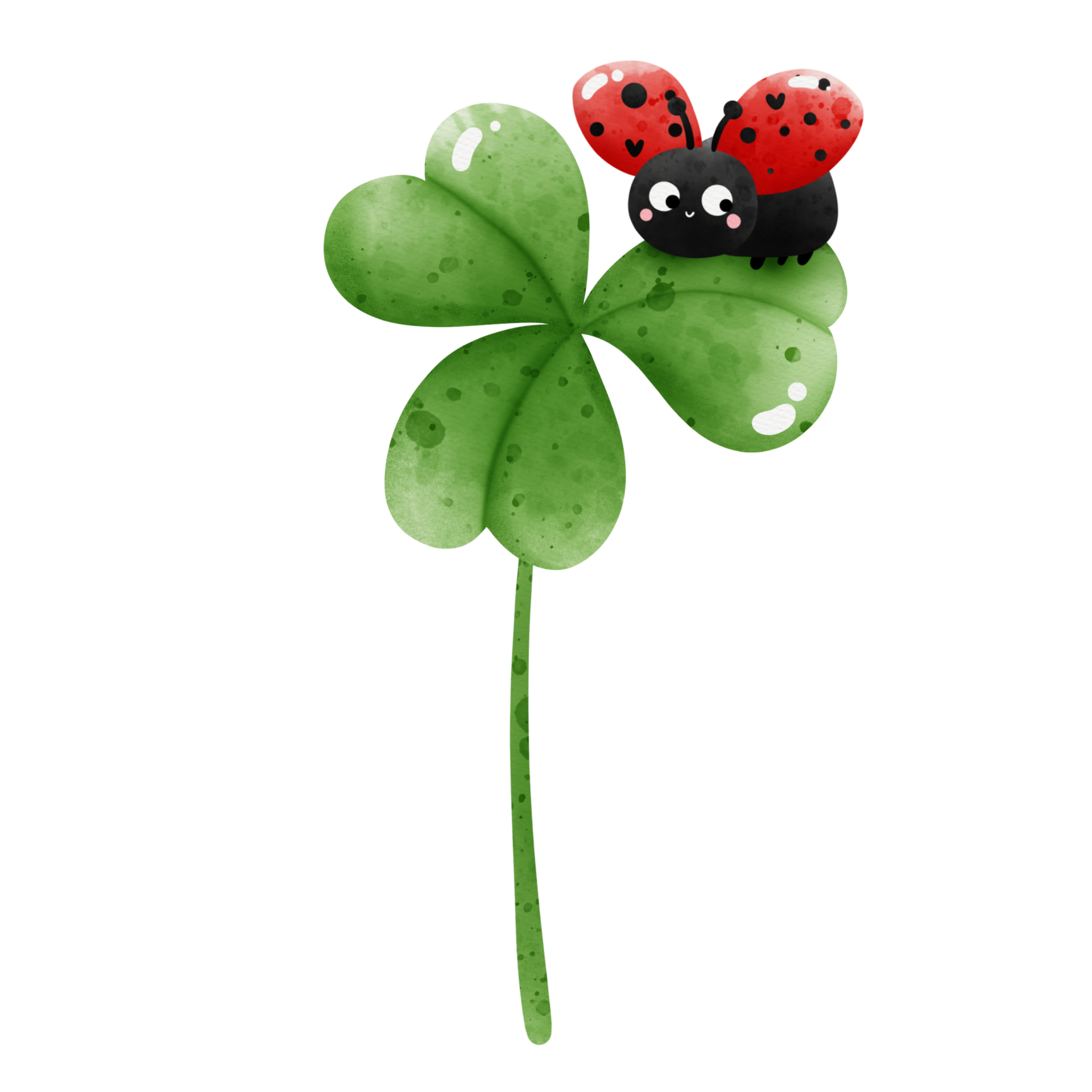 Cute Lady Bug 25174427 Png