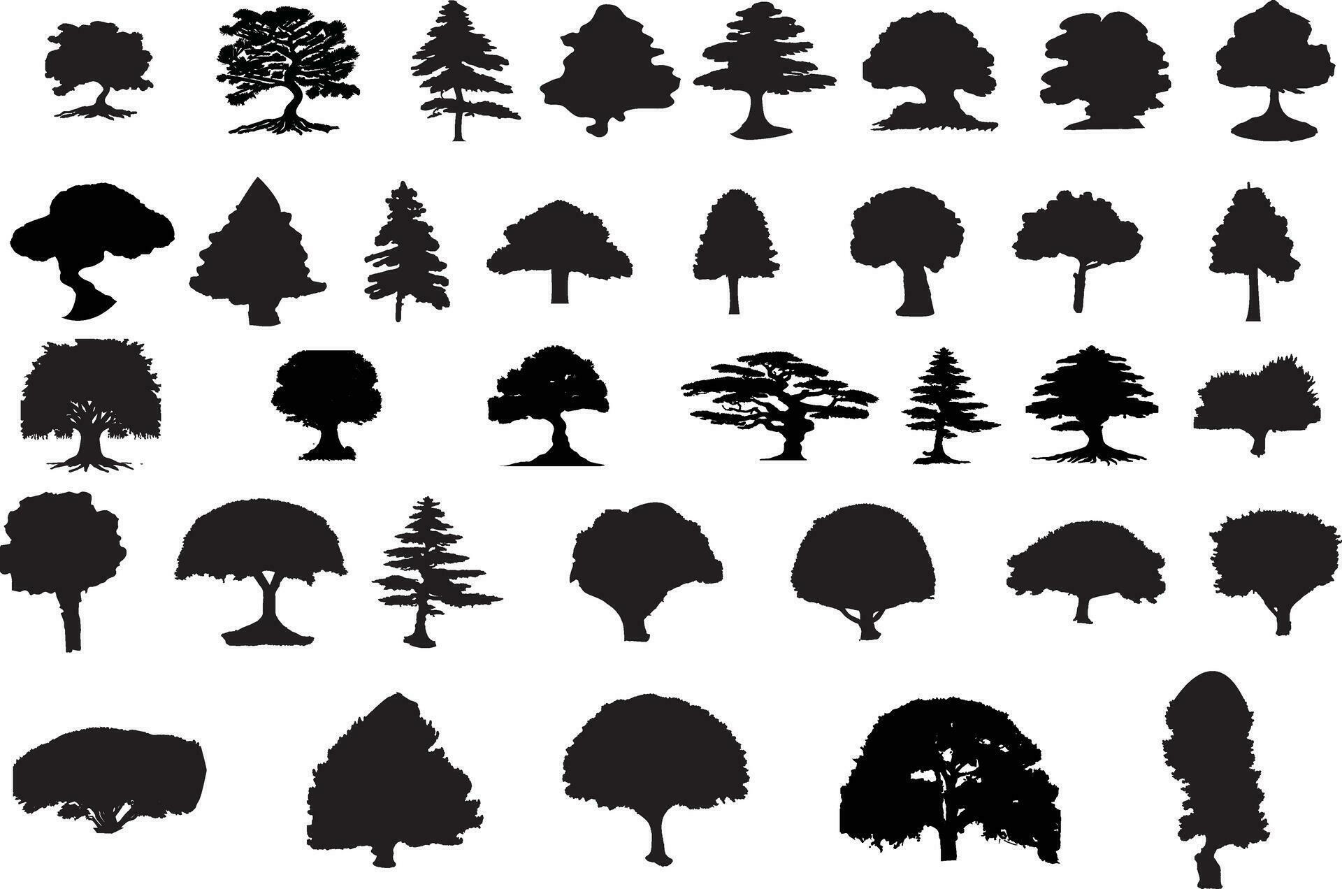 tree silhouettes vector 25249906 Vector Art at Vecteezy