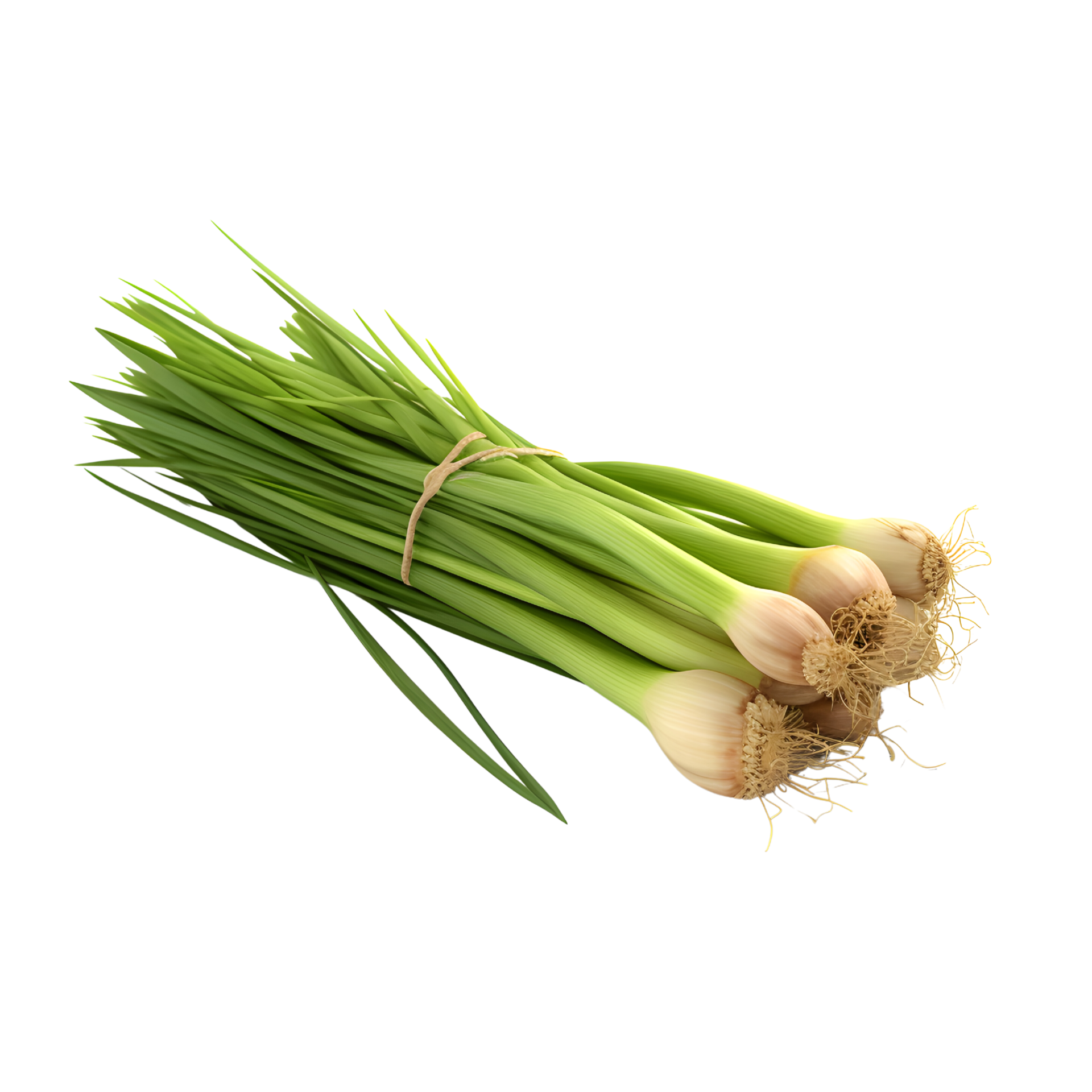 Lemongrass Leaf Bundle Ai Generative 25252258 Png