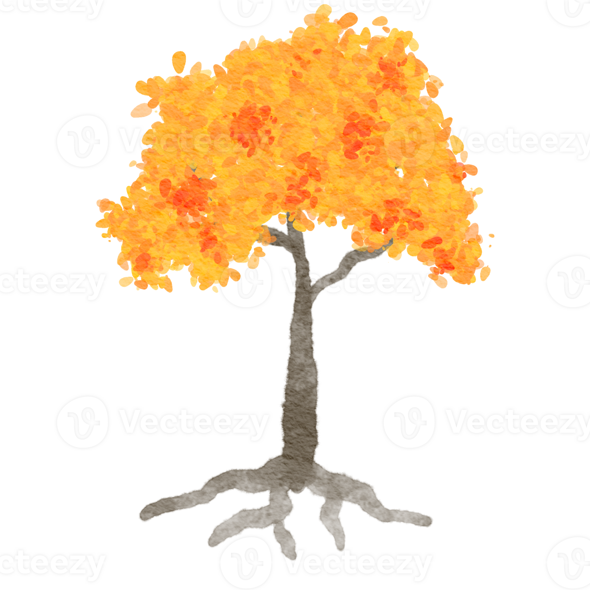 autumn tree isolated 25253709 PNG