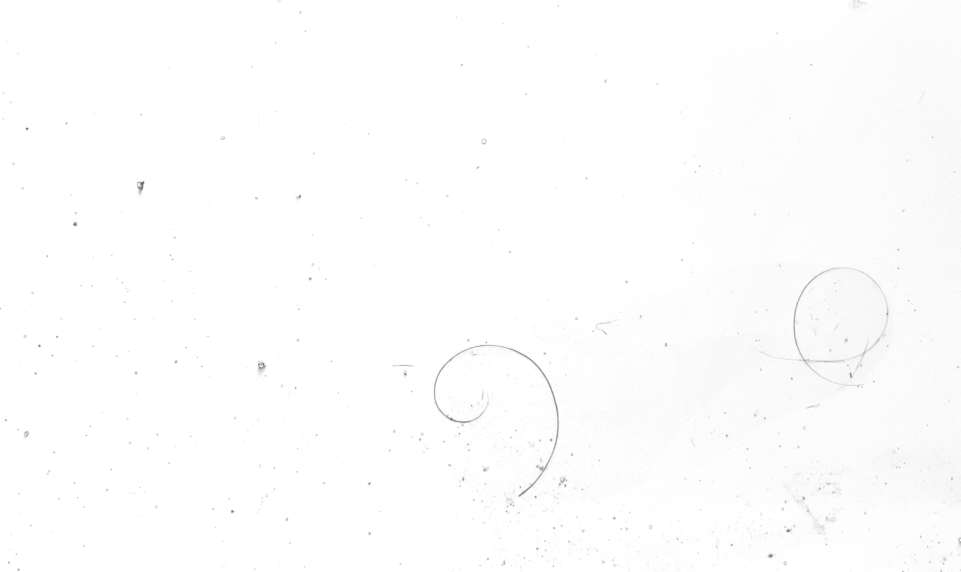 Retro dust and grain film overlay 25254249 PNG