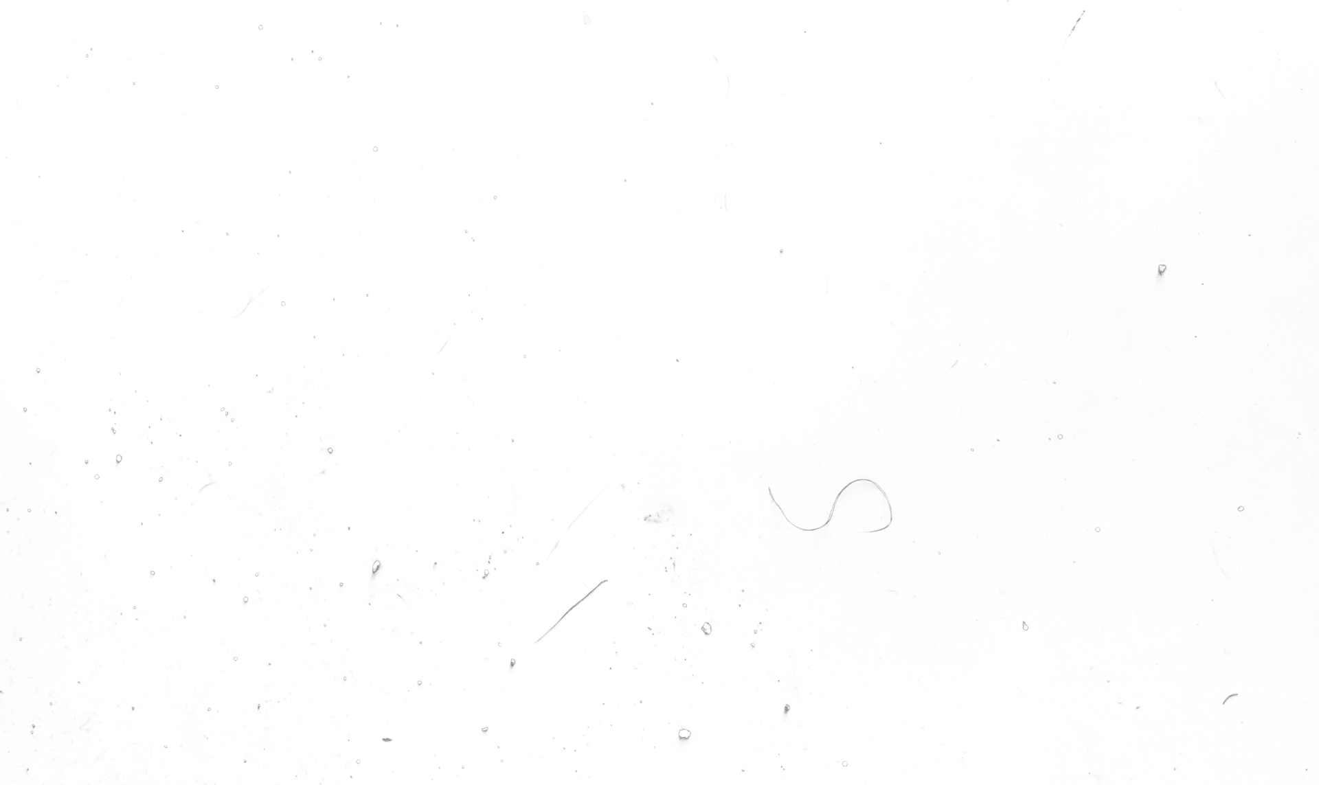 retro film grain with dust texture 25254269 PNG